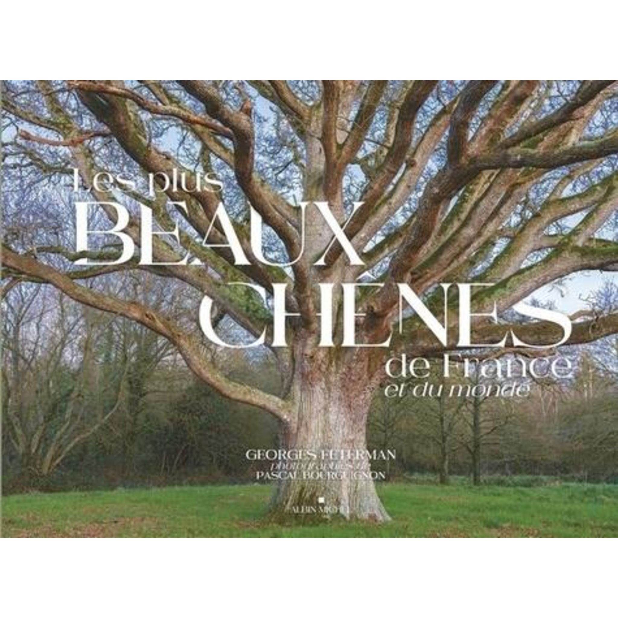 LES PLUS BEAUX CHENES DE FRANCE ET DU MONDE, Feterman Georges pas cher ...