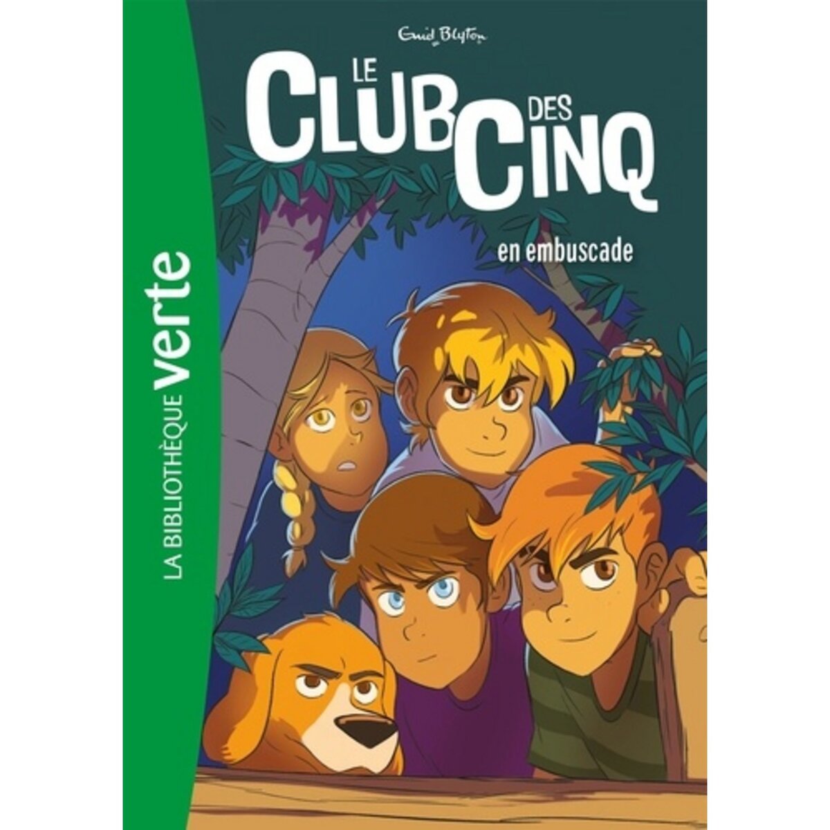 LE CLUB DES CINQ TOME 21 : LE CLUB DES CINQ EN EMBUSCADE, Blyton Enid pas cher - Auchan.fr