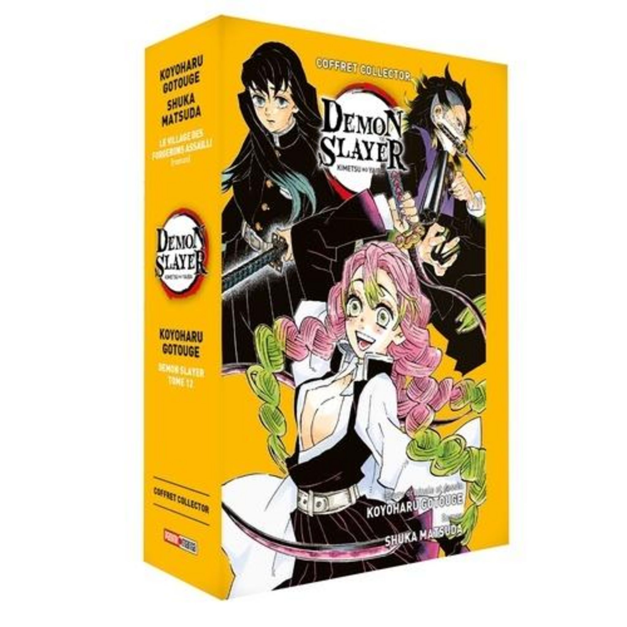 DEMON SLAYER COFFRET EN 2 VOLUMES : DEMON SLAYER TOME 12 ET DEMON ...