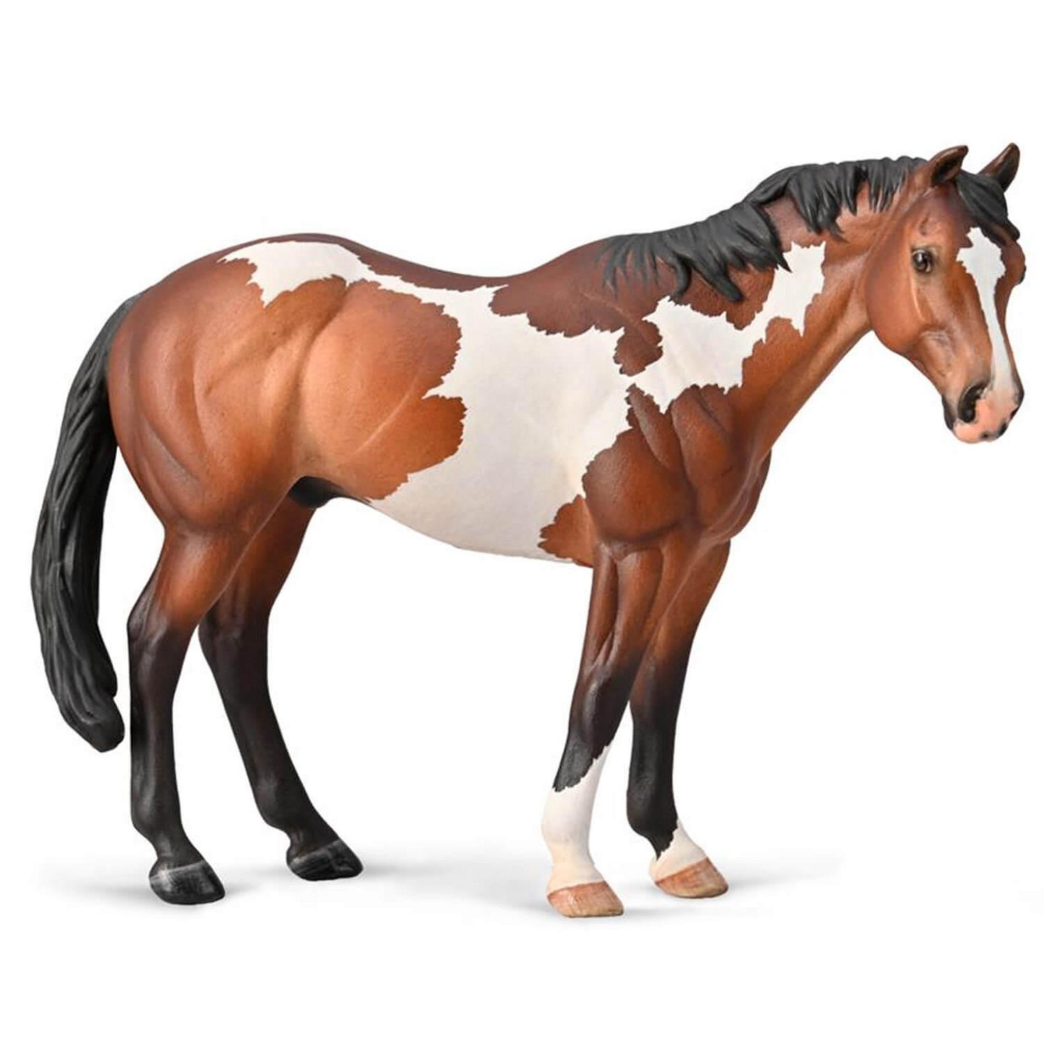 Figurines Collecta Figurine Chevaux (XL) : Appaloosa Bai pas cher ...