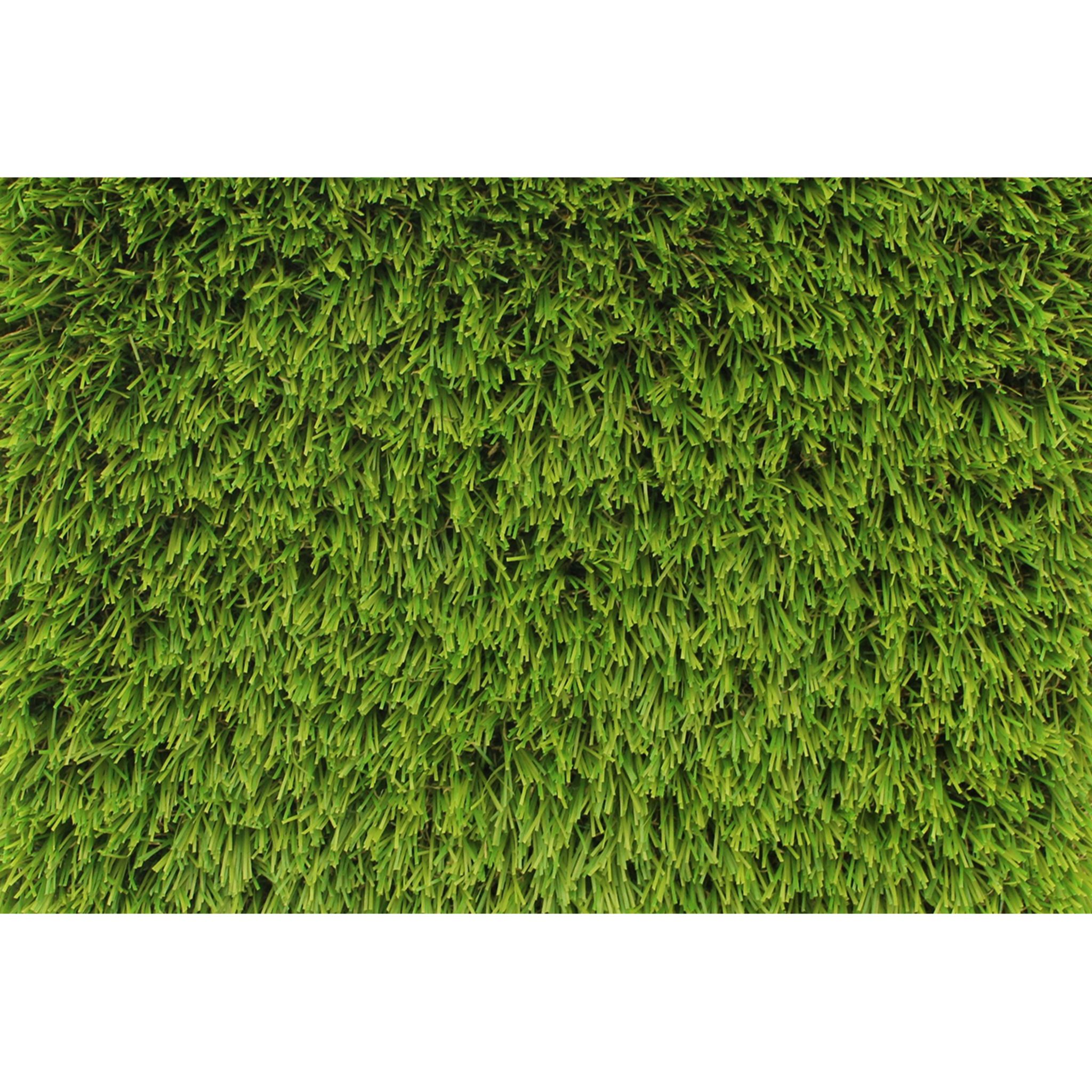 EXELGREEN Gazon synthétique 1x4m Alpha pas cher - Auchan.fr