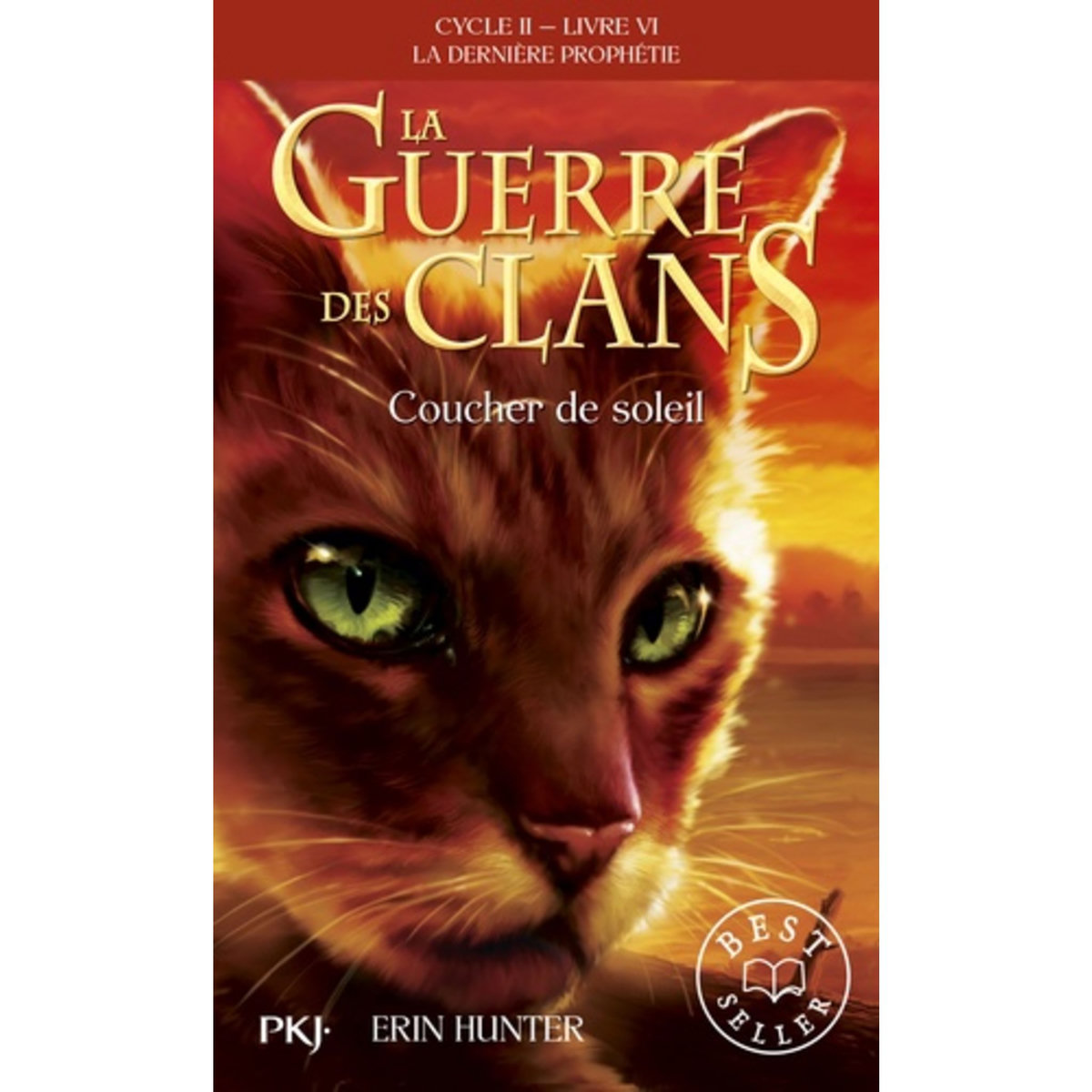 LA GUERRE DES CLANS : LA DERNIERE PROPHETIE (CYCLE II) TOME 6 : COUCHER ...