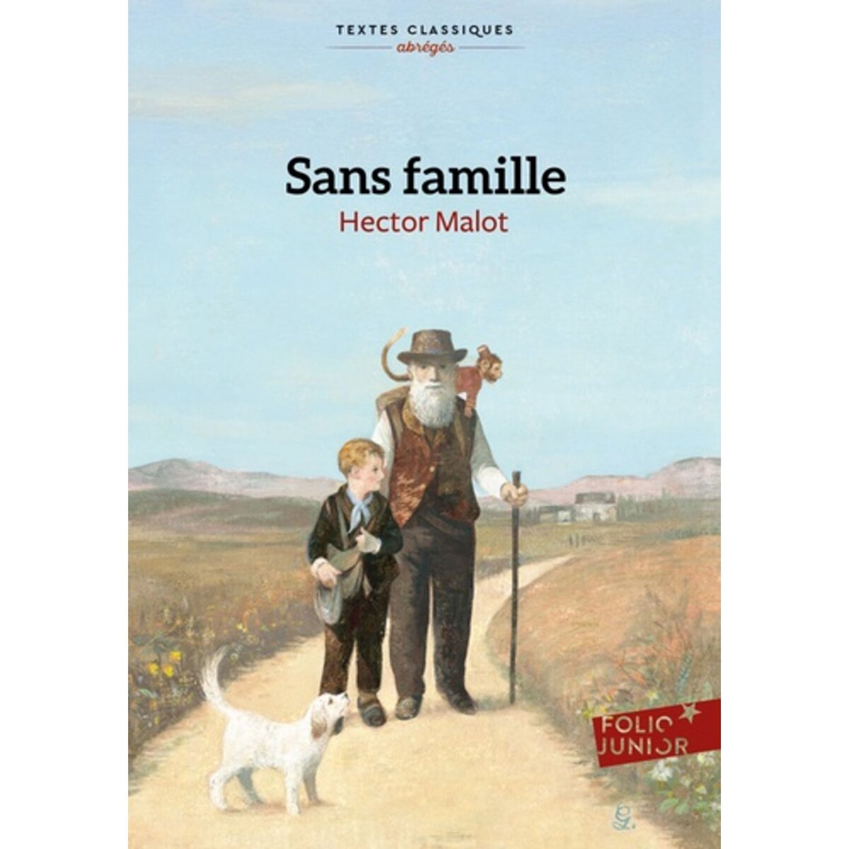 SANS FAMILLE, Malot Hector pas cher - Auchan.fr