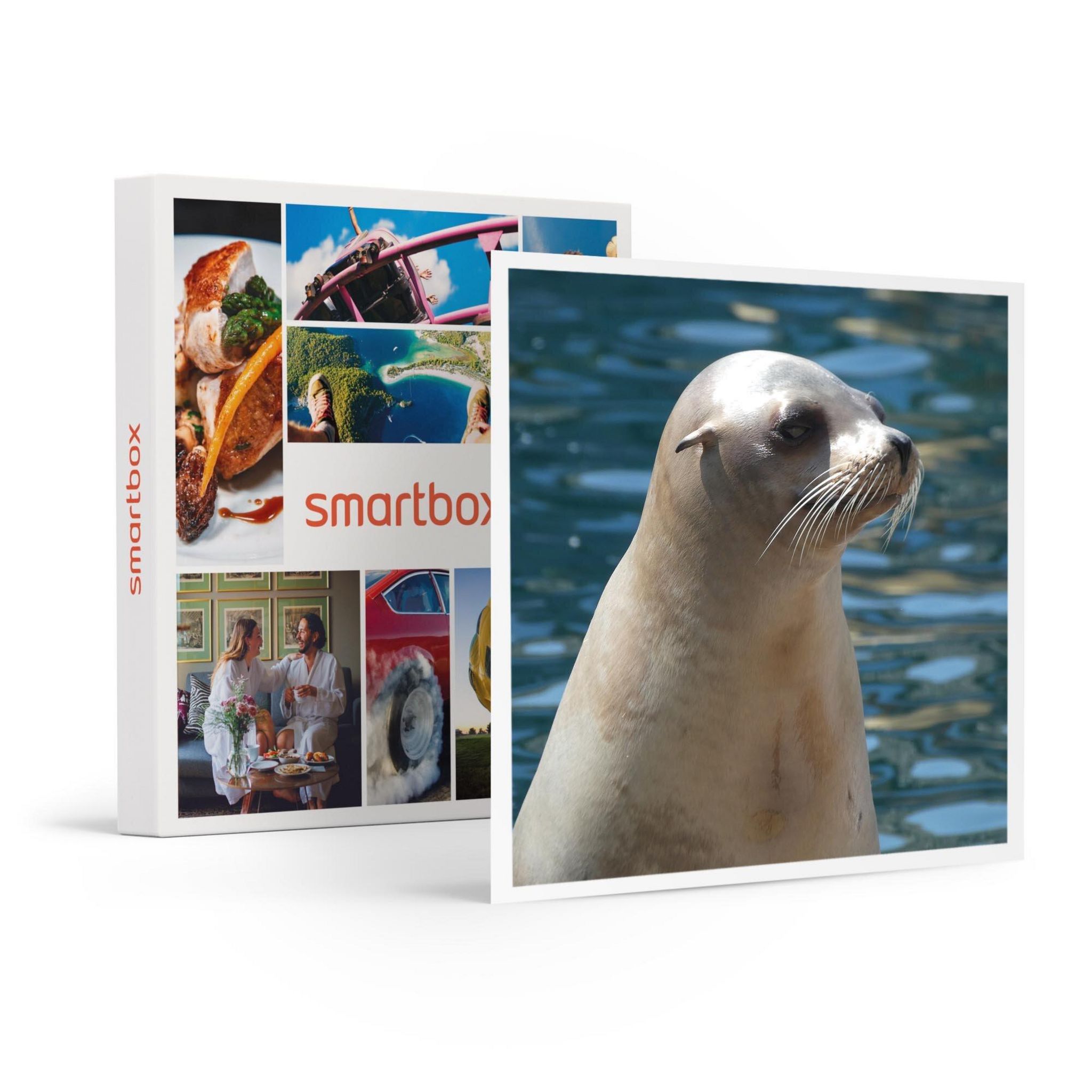 Smartbox Journée au parc Marineland d'Antibes pour 1 adulte et 1 enfant - Coffret Cadeau Sport ...