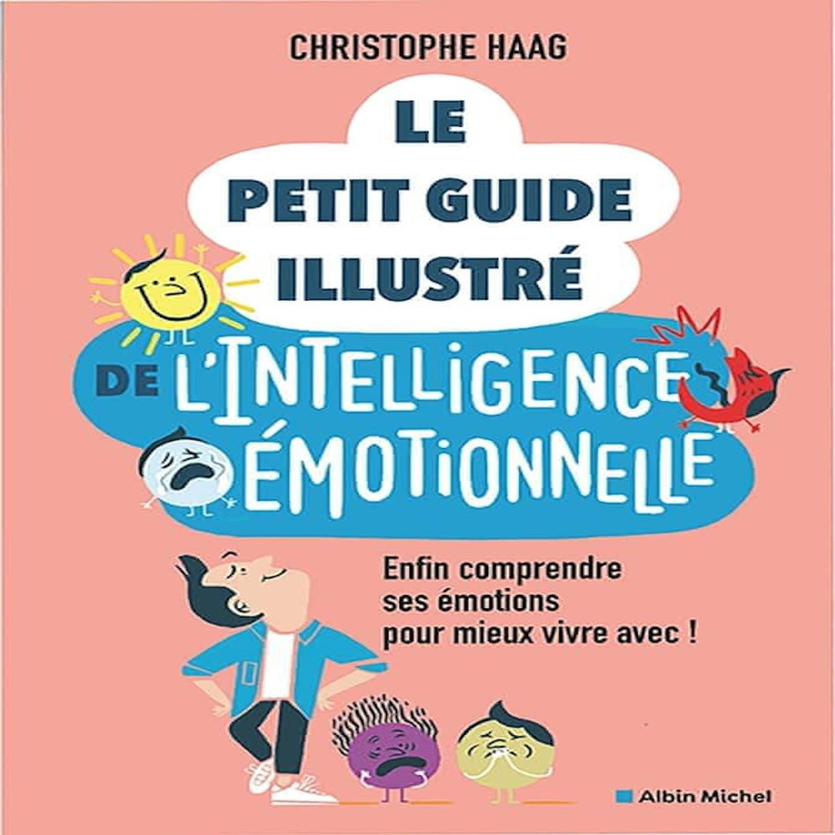 LE PETIT GUIDE ILLUSTRE DE L'INTELLIGENCE EMOTIONNELLE, Haag Christophe ...