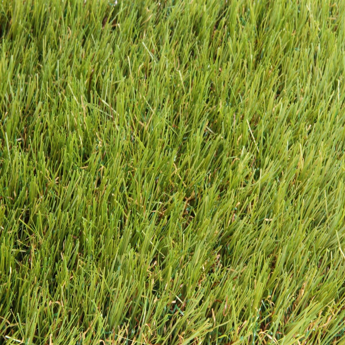 EXELGREEN Gazon synthétique NATURA pas cher - Auchan.fr