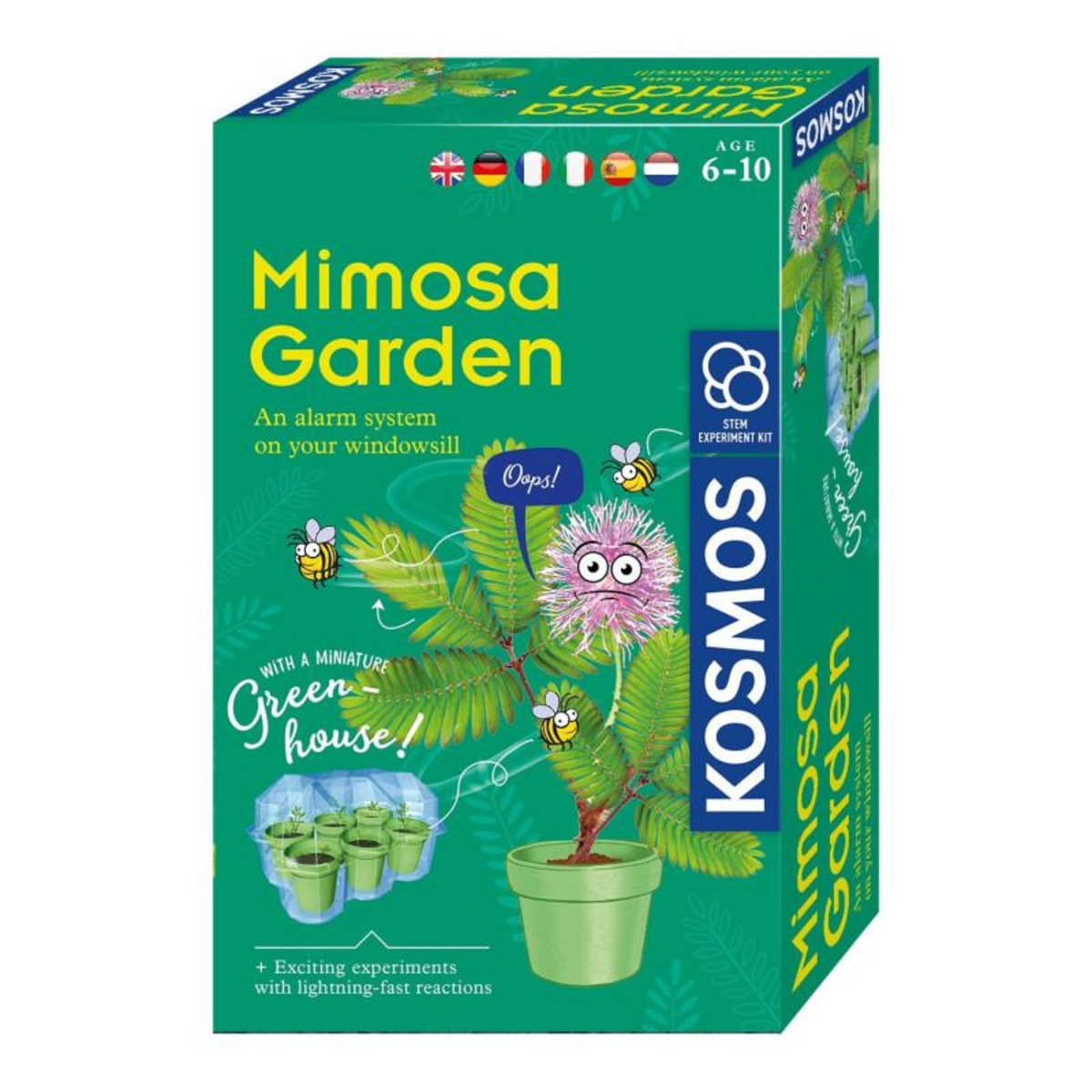 Selecta Selecta - Growing Cosmos Mimosa Plants KM616809 pas cher ...