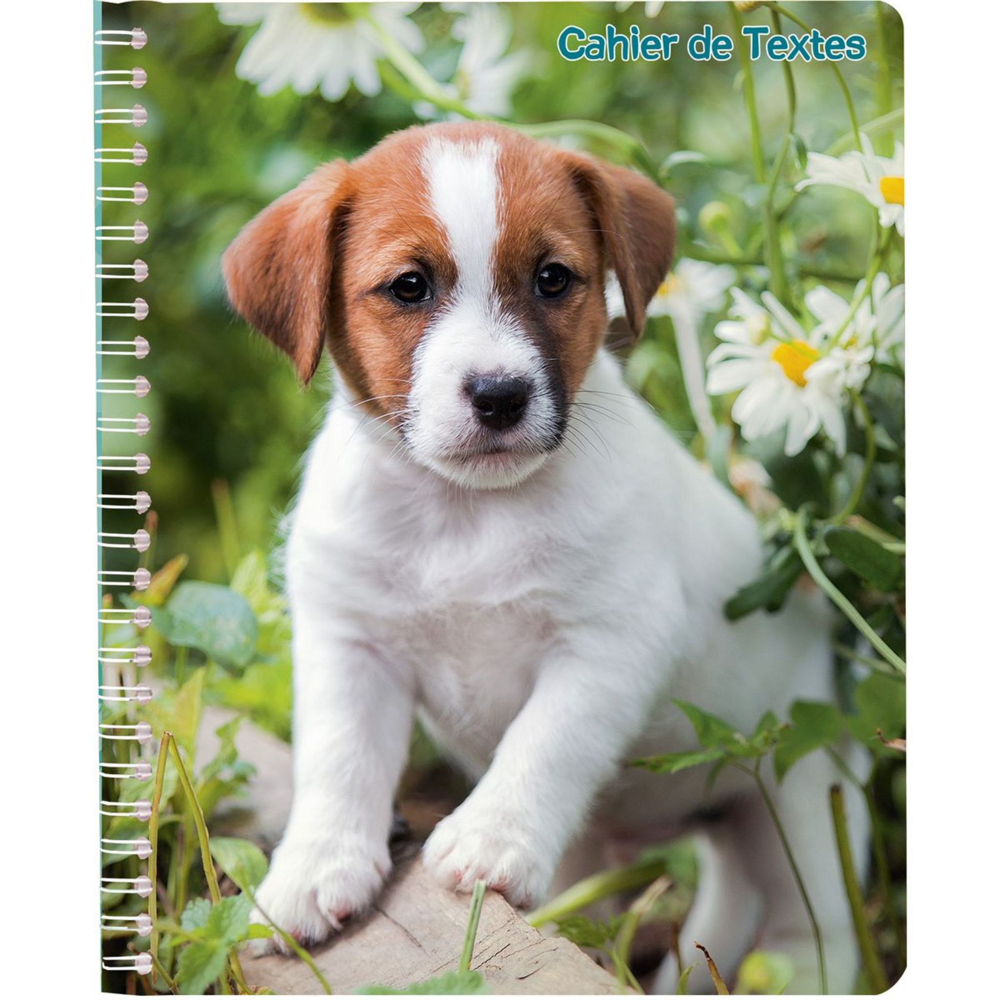 Cahier de texte 17,5x22cm 148 pages à spirale fille Animaux domestiques ...