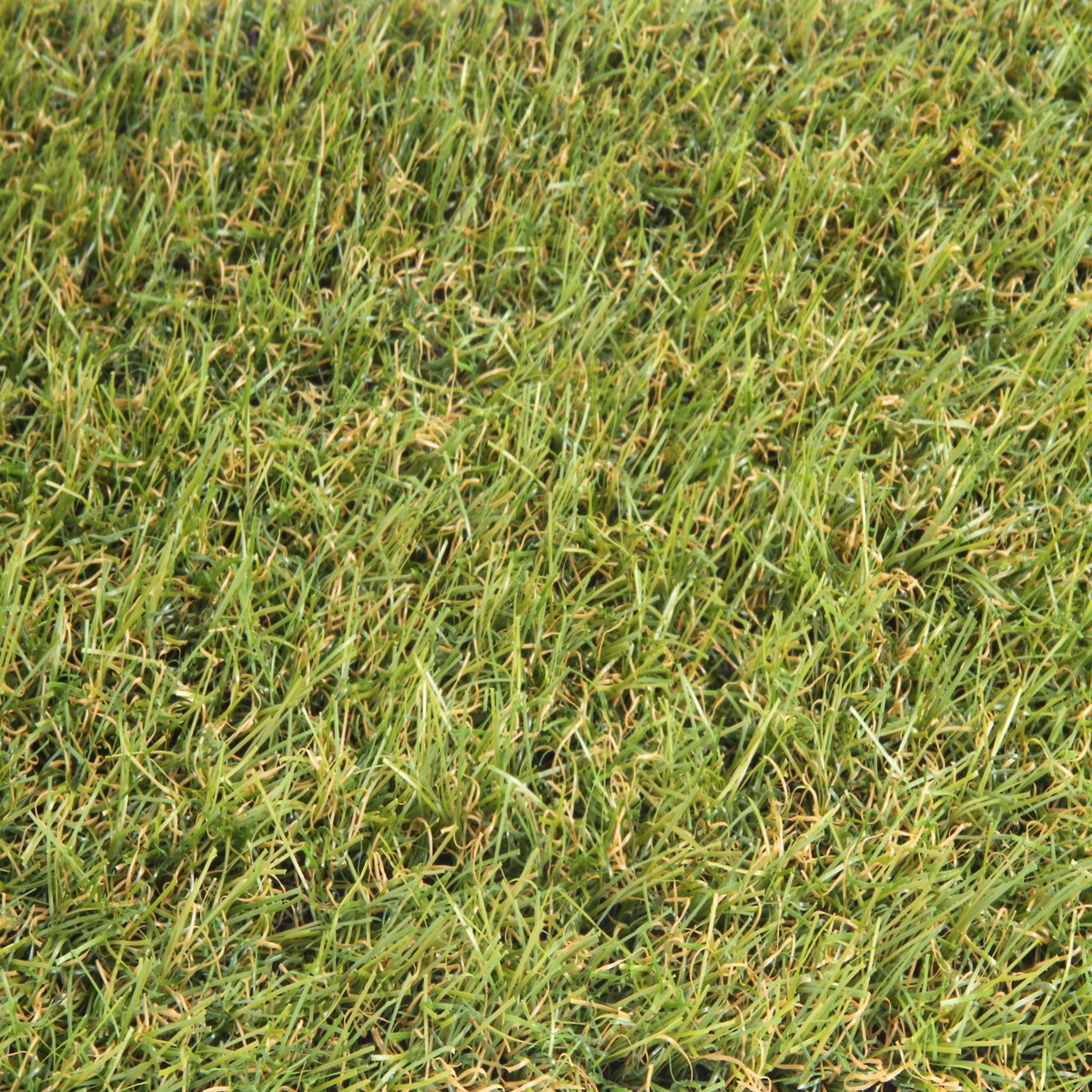 EXELGREEN Gazon synthétique WIMBLEDON pas cher - Auchan.fr