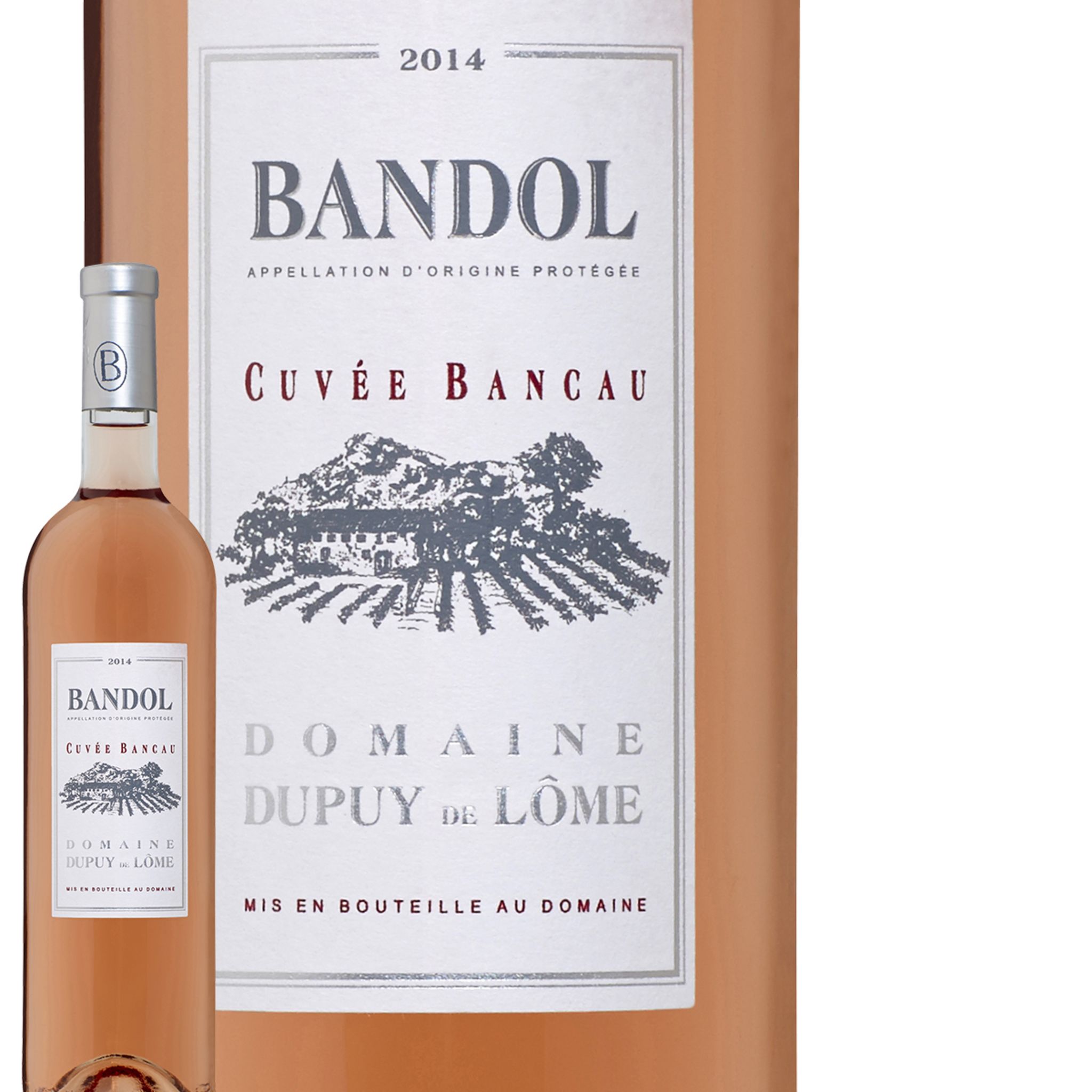 Domaine Dupuy de Lôme Bandol Rosé 2015 pas cher - Auchan.fr