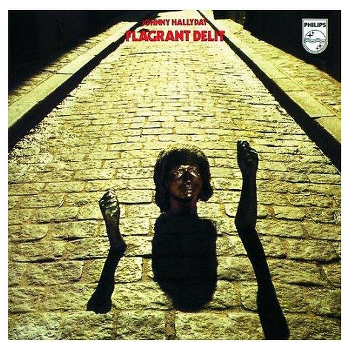 Johnny Hallyday - Flagrant délit VINYLE pas cher - Auchan.fr