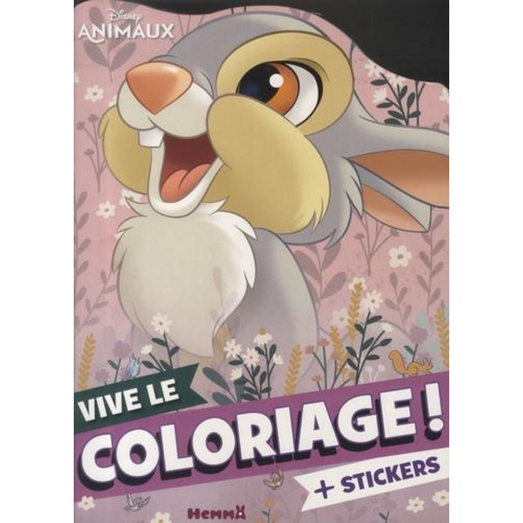 DISNEY ANIMAUX, Disney pas cher - Auchan.fr