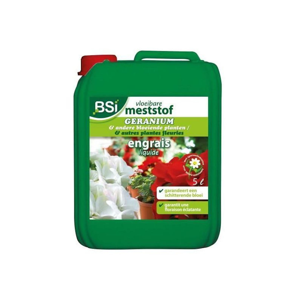 Bsi BSI - Engrais Minéral Pour Géranium - Pour Les Especes De Géranium ...