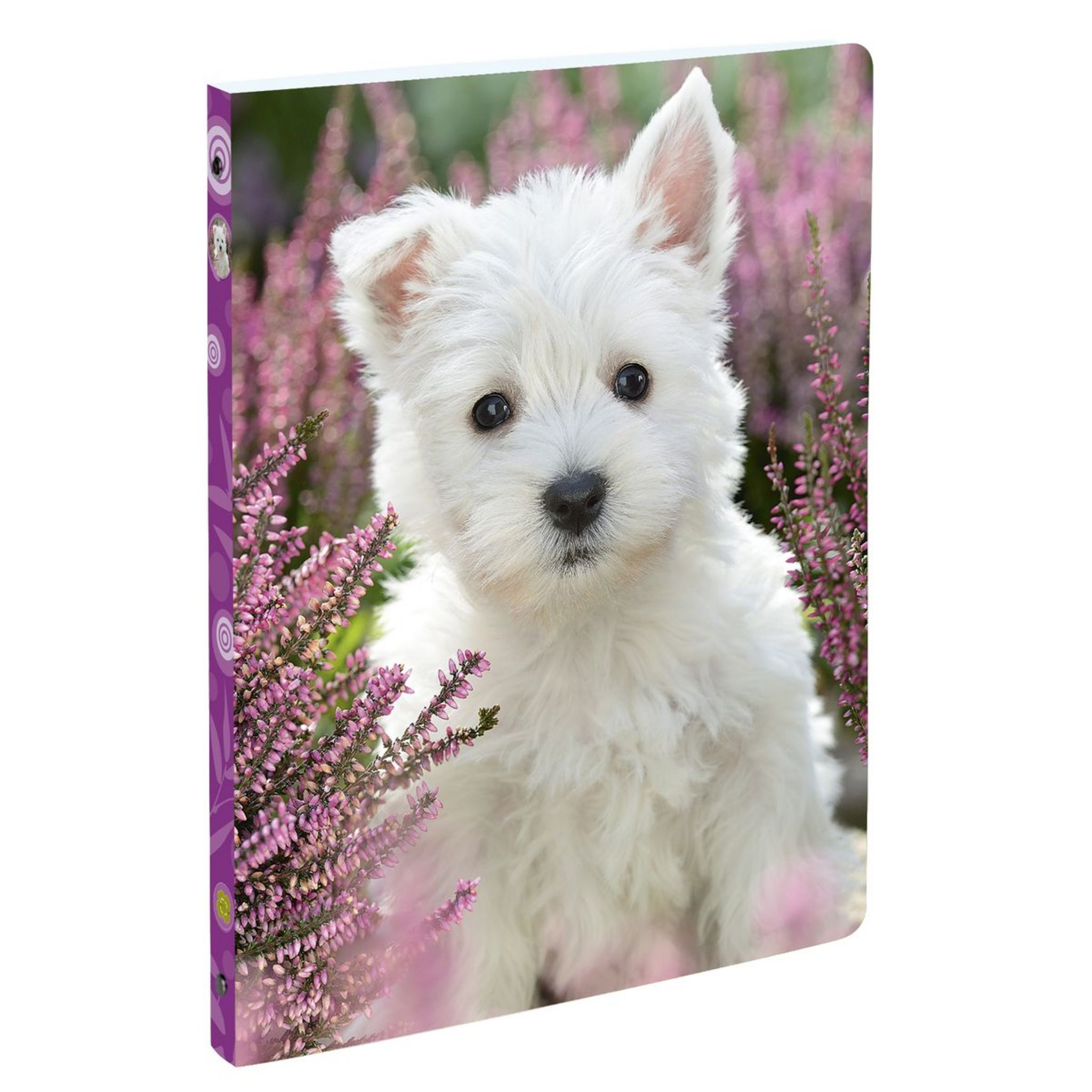 SIL CAHIER CLASSEUR ANIMAUX DOMESTIQUES 21X29,7 4ANN D19MM Chien pas ...