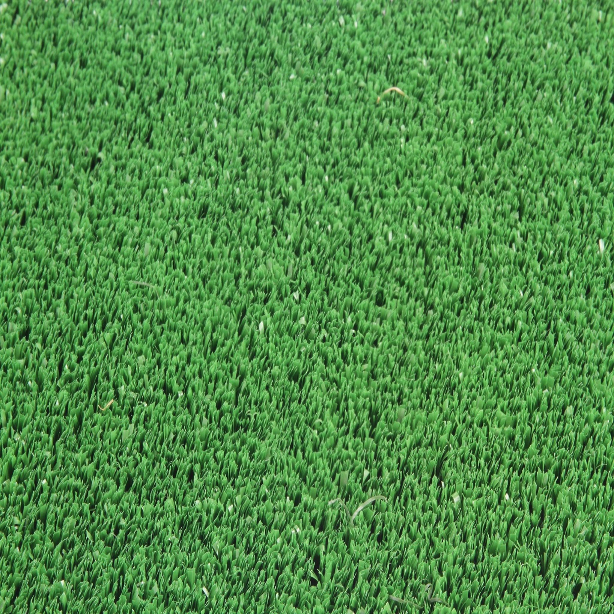 EXELGREEN Gazon synthétique GOLF PLUS pas cher - Auchan.fr