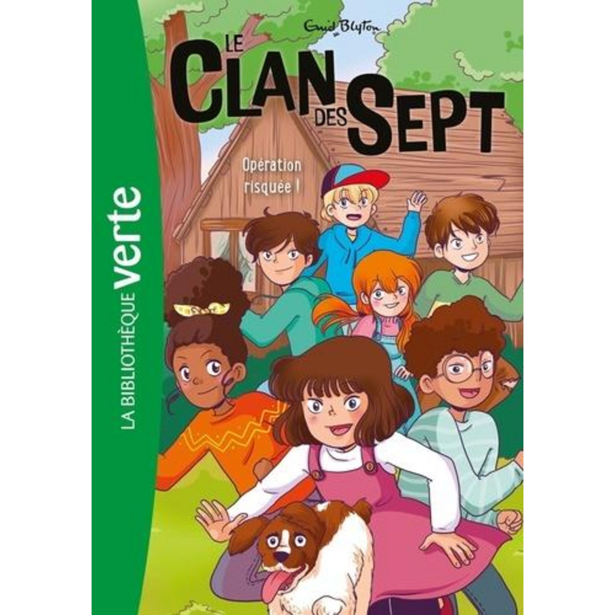 LE CLAN DES SEPT TOME 6 : OPERATION RISQUEE, Blyton Enid pas cher ...