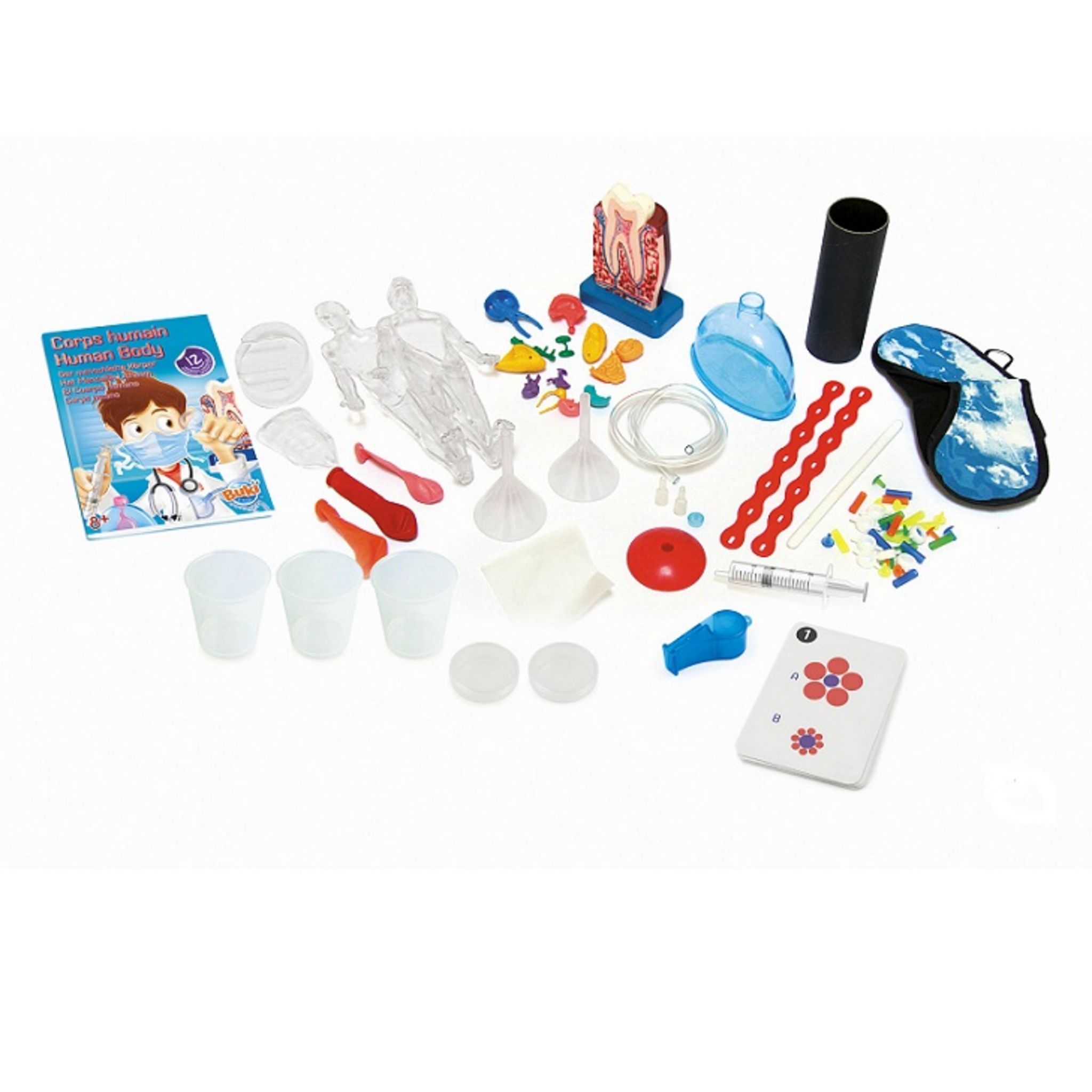 BUKI Le corps humain pas cher - Auchan.fr