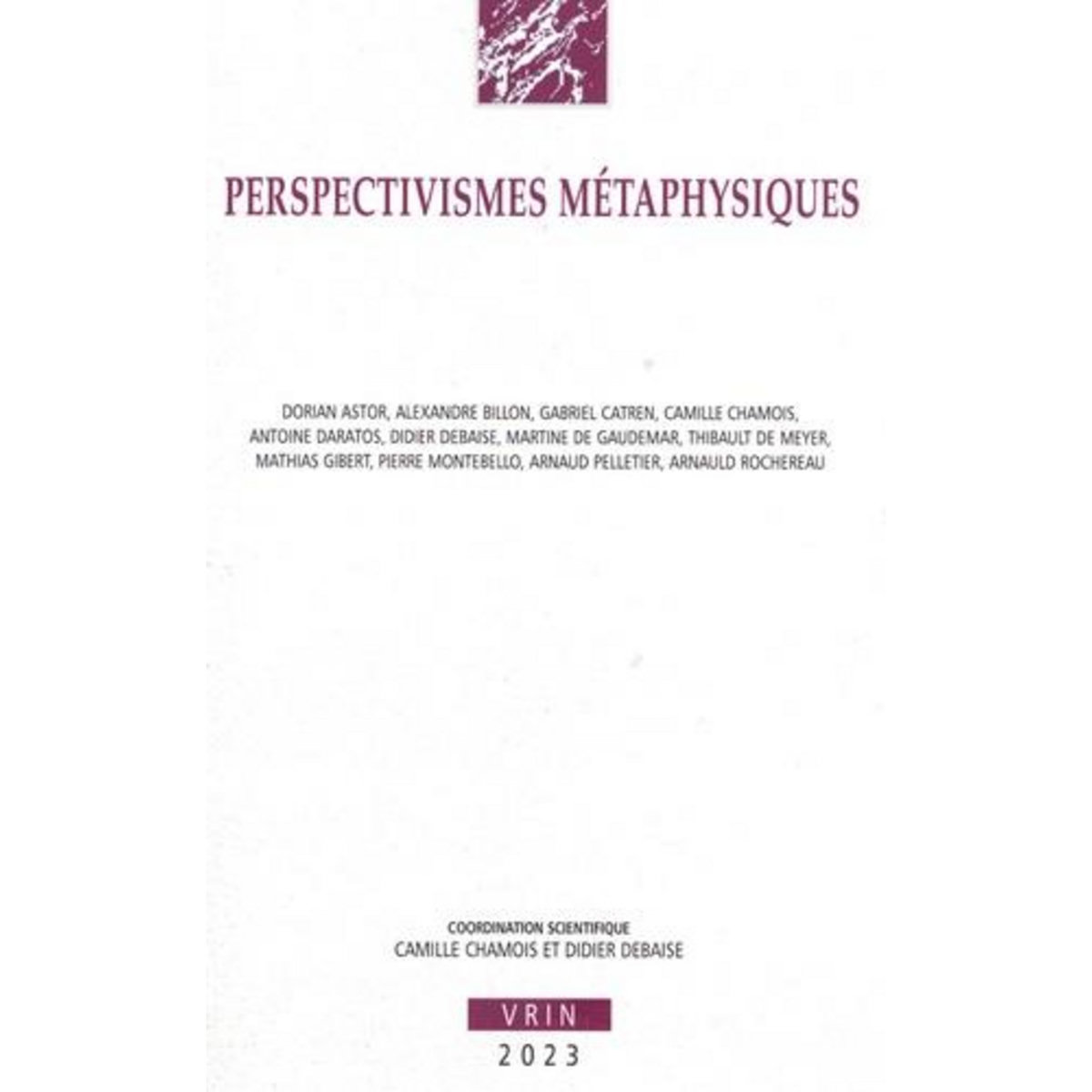 PERSPECTIVISMES METAPHYSIQUES, Chamois Camille pas cher - Auchan.fr