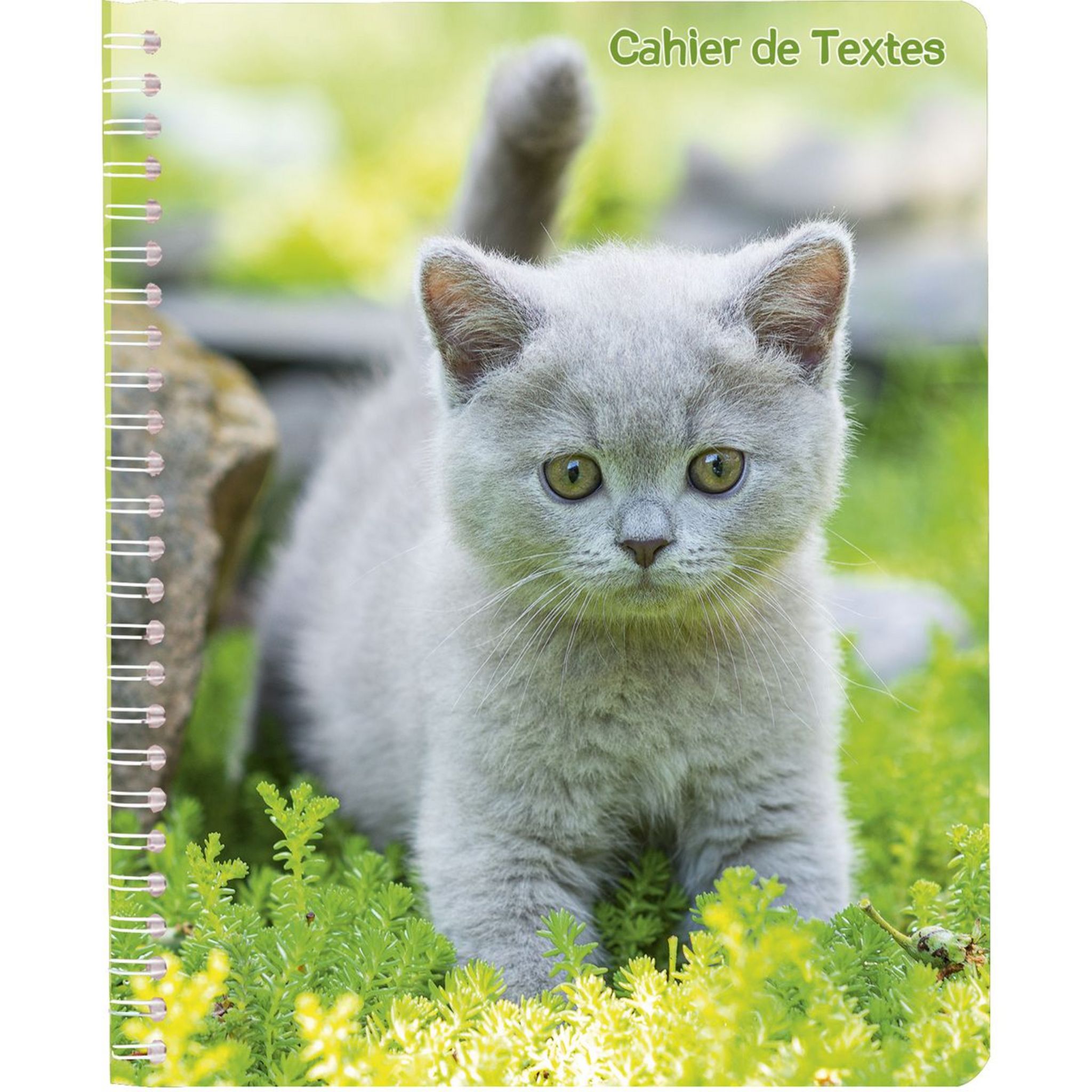 Cahier de texte 17,5x22cm 148 pages à spirale fille Animaux domestiques ...