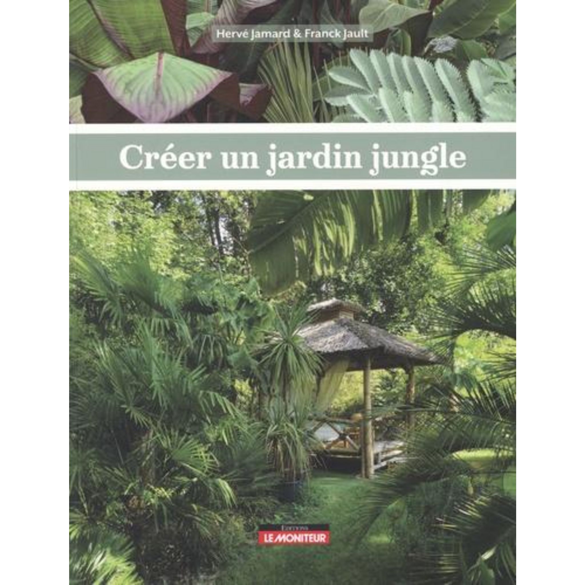 CREER UN JARDIN JUNGLE, Jamard Hervé pas cher - Auchan.fr