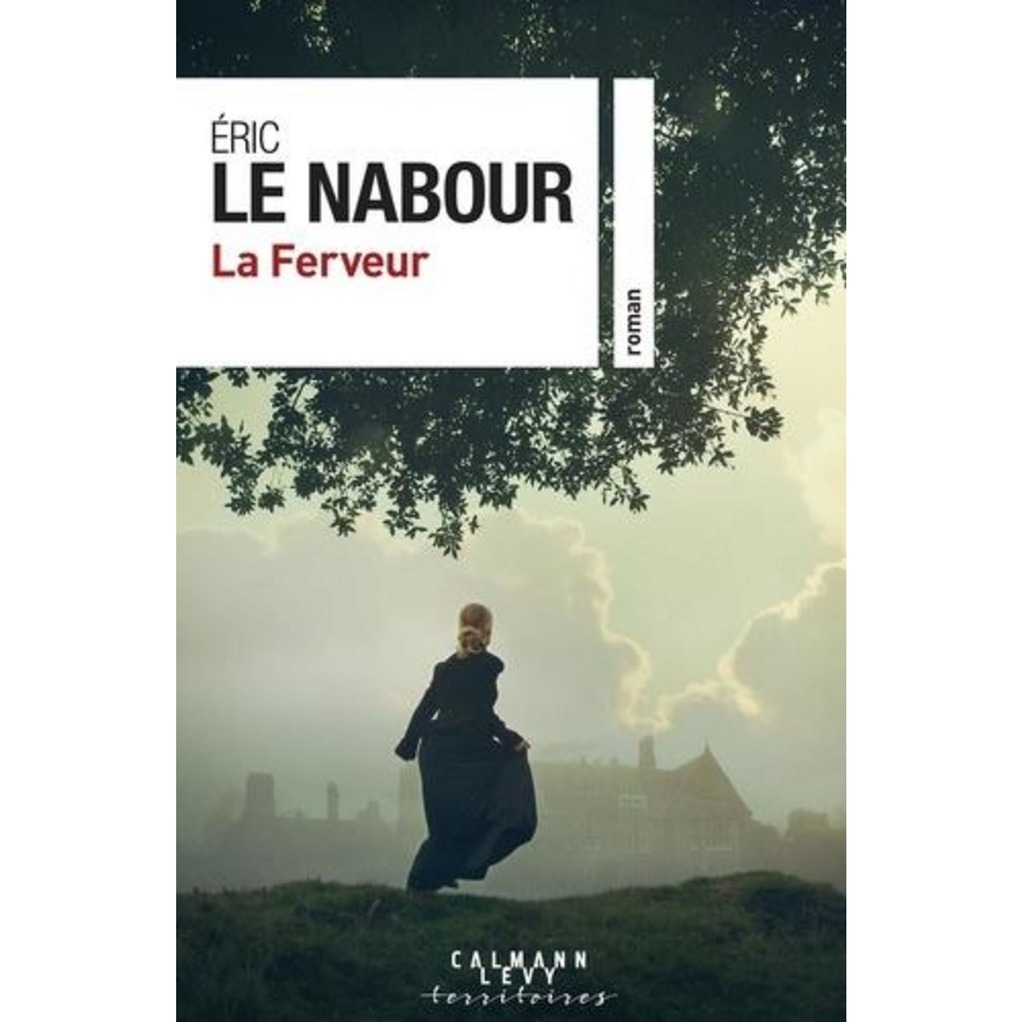 LA FERVEUR, Le Nabour Eric pas cher - Auchan.fr