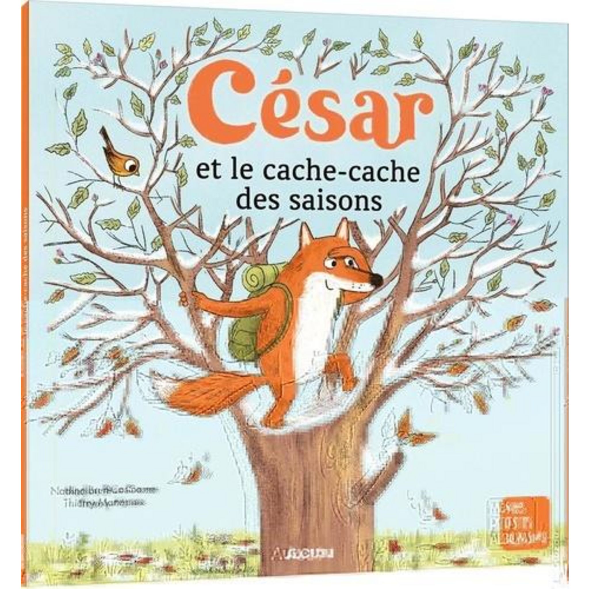 CESAR ET LE CACHE-CACHE DES SAISONS, Brun-Cosme Nadine pas cher - Auchan.fr