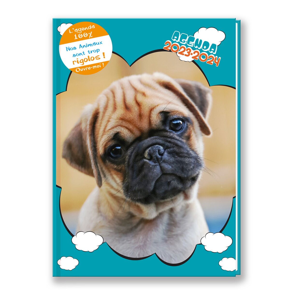 Agenda scolaire journalier Animaux rigolos chiot vert 2023-2024 pas ...