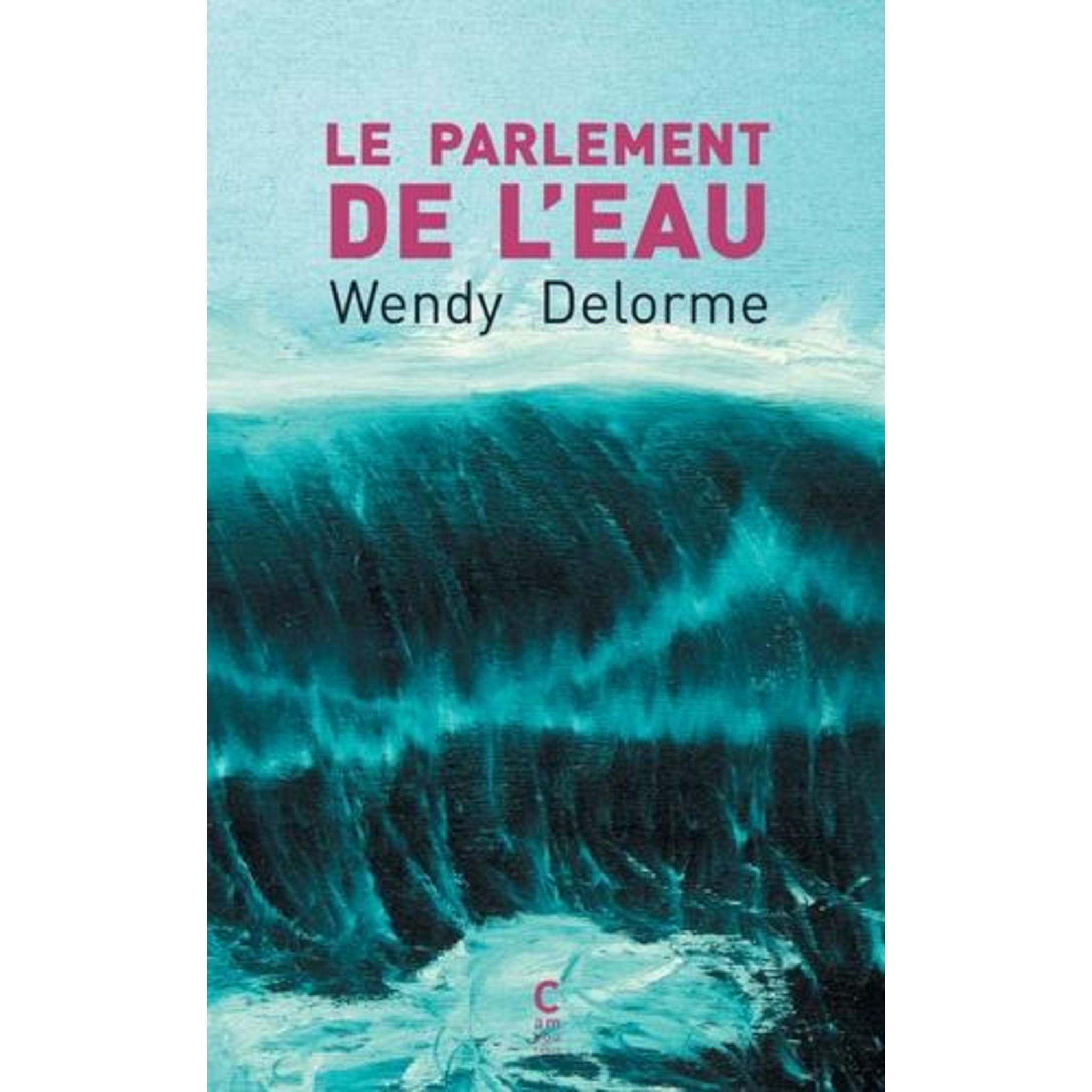 LE PARLEMENT DE L'EAU, Delorme Wendy pas cher - Auchan.fr