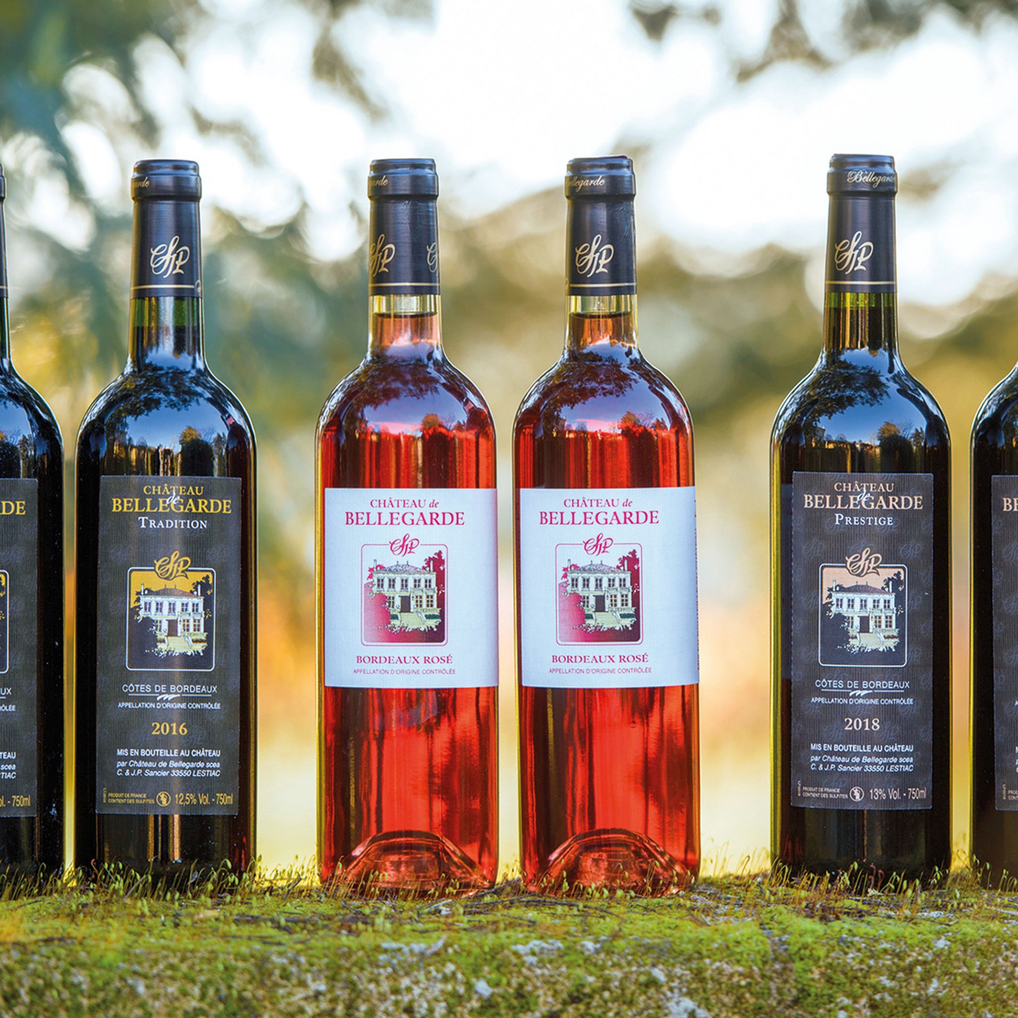 Smartbox Coffret Cadeau - Coffret de 6 vins rouges et rosés du pays ...