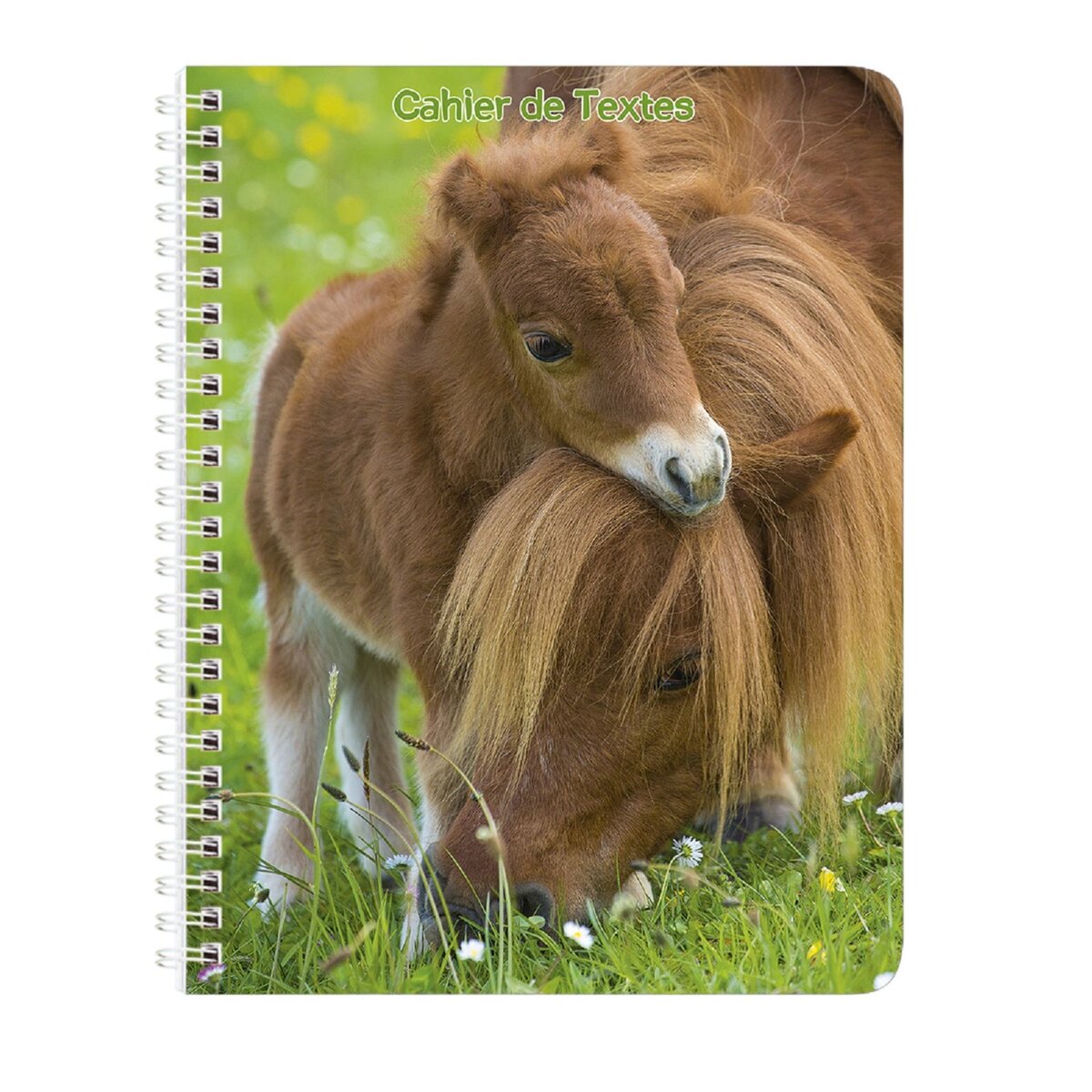 Cahier de texte à spirale fille 17x22cm 148 pages Animaux domestiques ...