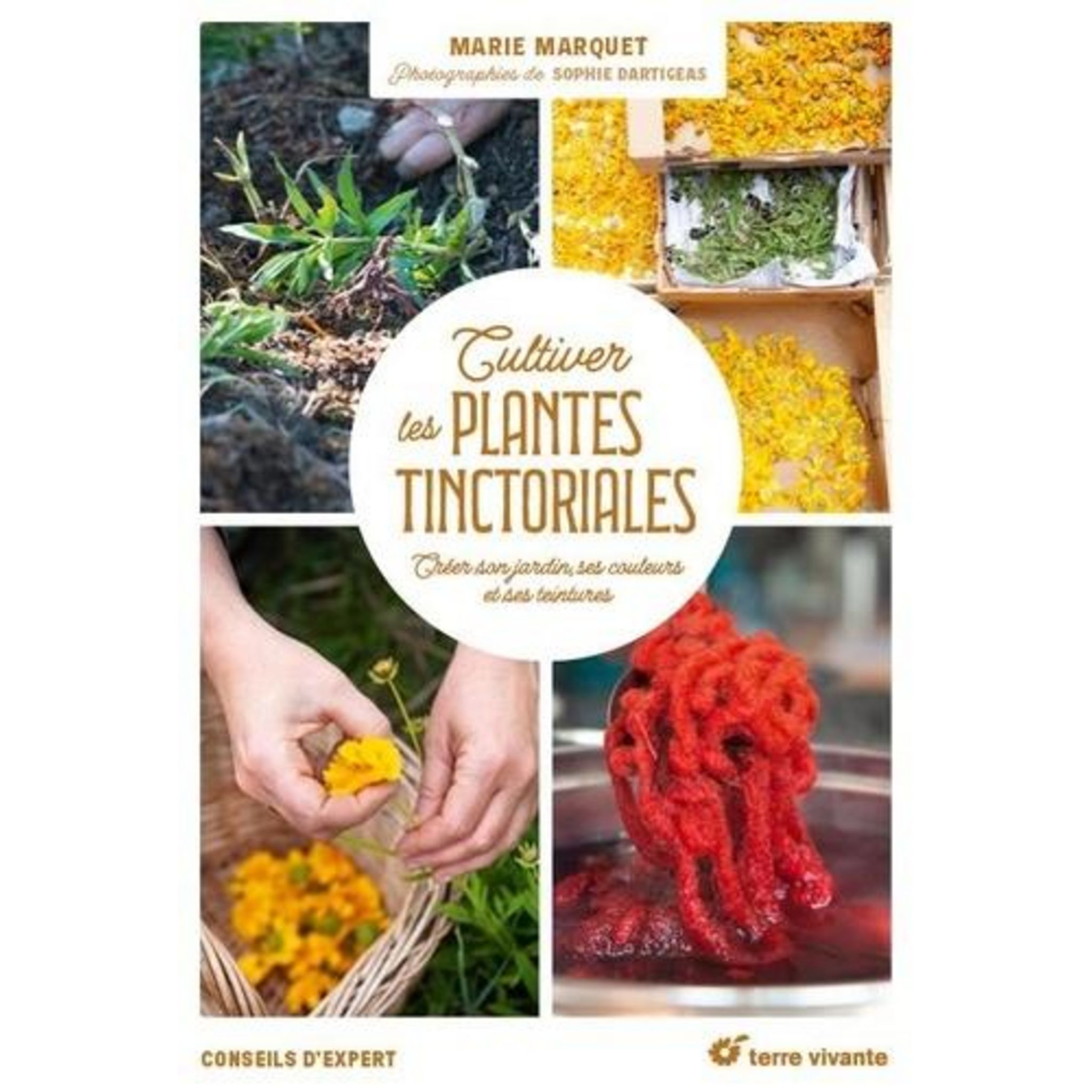 CULTIVER LES PLANTES TINCTORIALES. CREER SON JARDIN, SES COULEURS ET ...