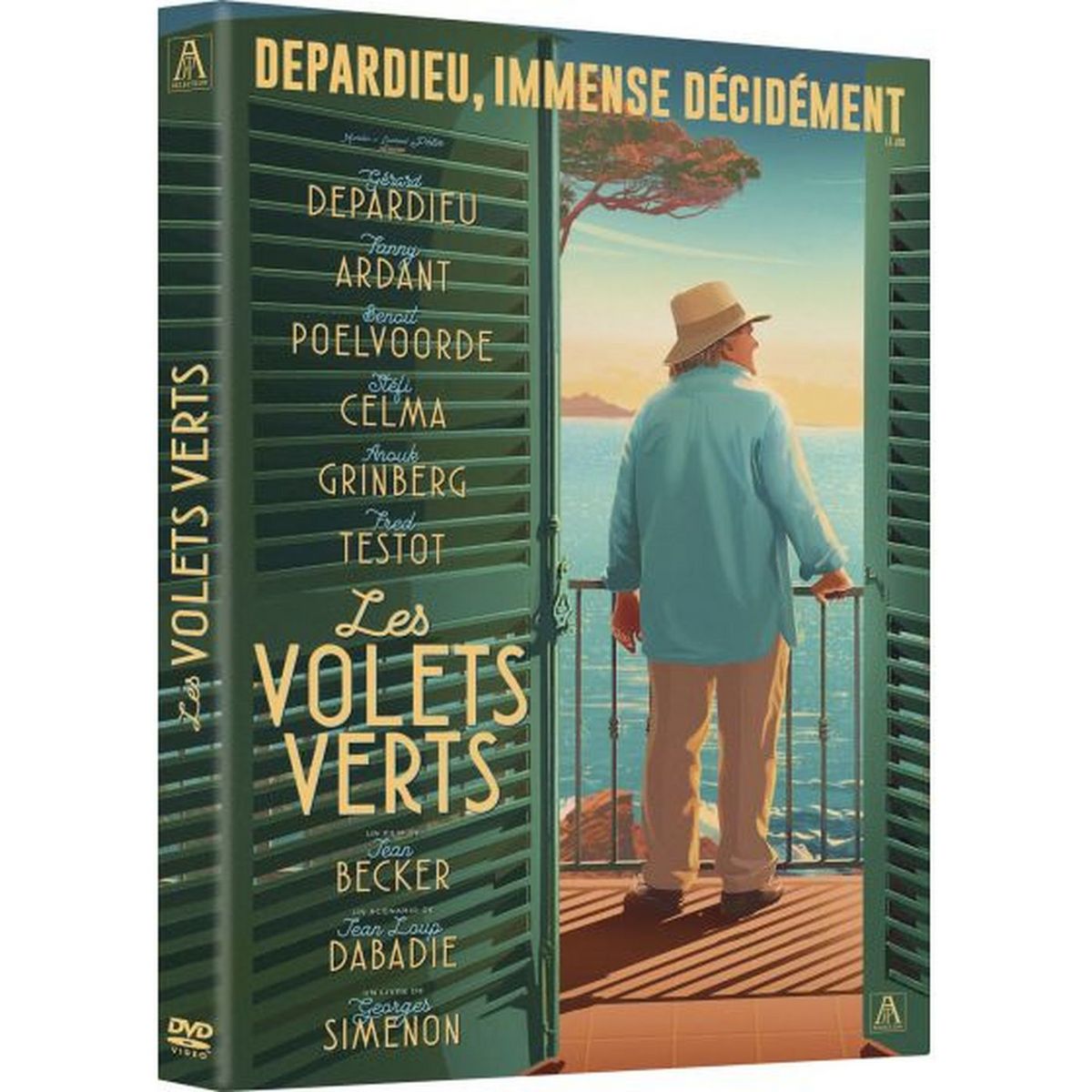 Les volets verts DVD pas cher - Auchan.fr