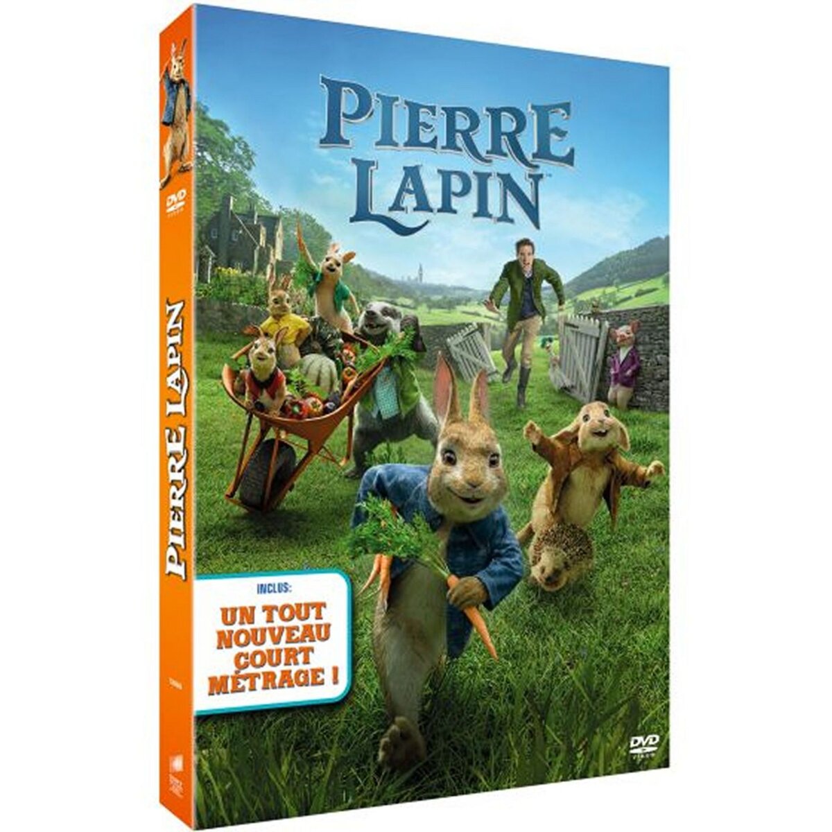 Pierre Lapin DVD pas cher - Auchan.fr