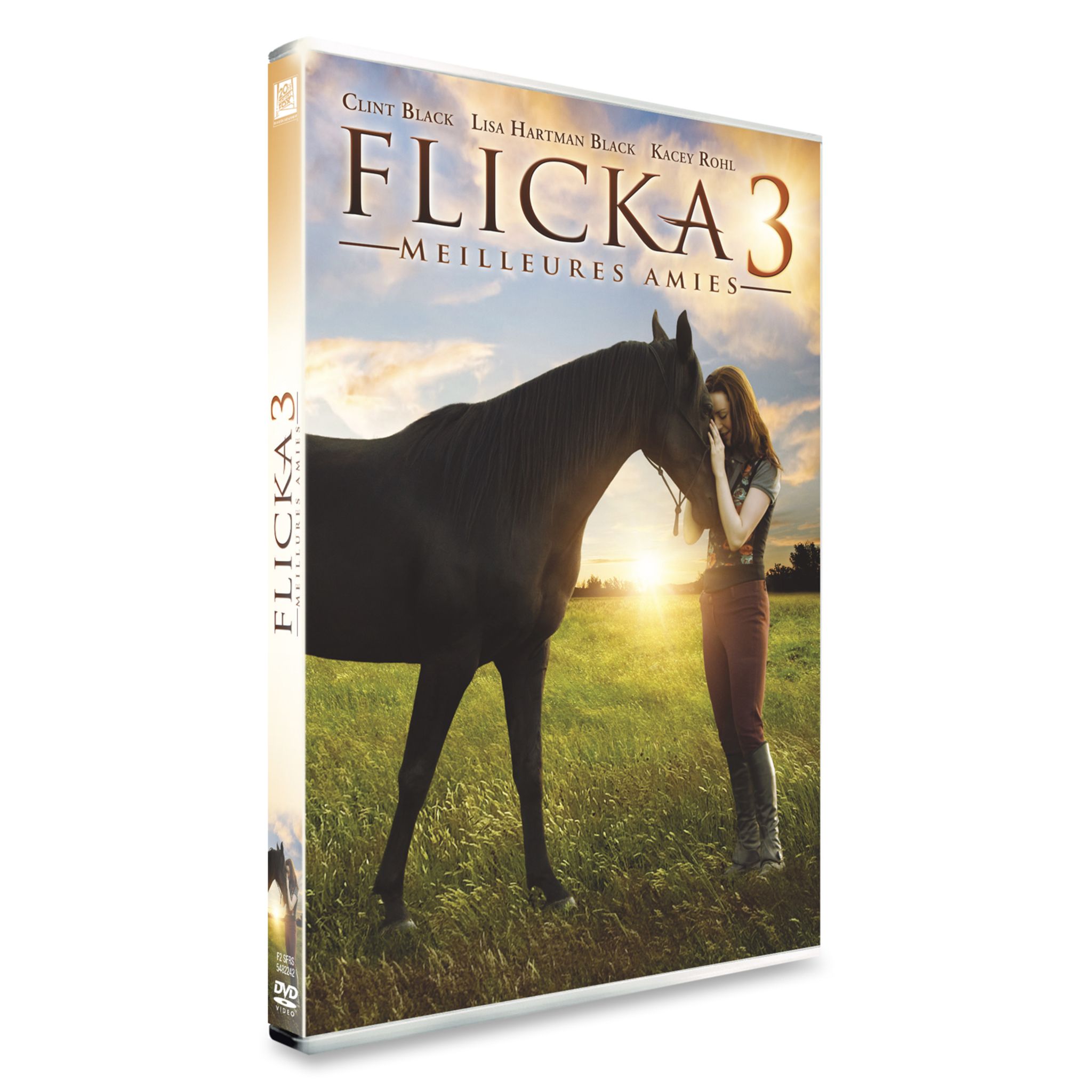 Flicka 3 meilleures amies dvd pas cher - Auchan.fr
