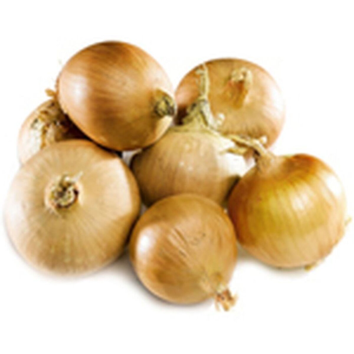 oignons sélection filet 2kg pas cher - Auchan.fr