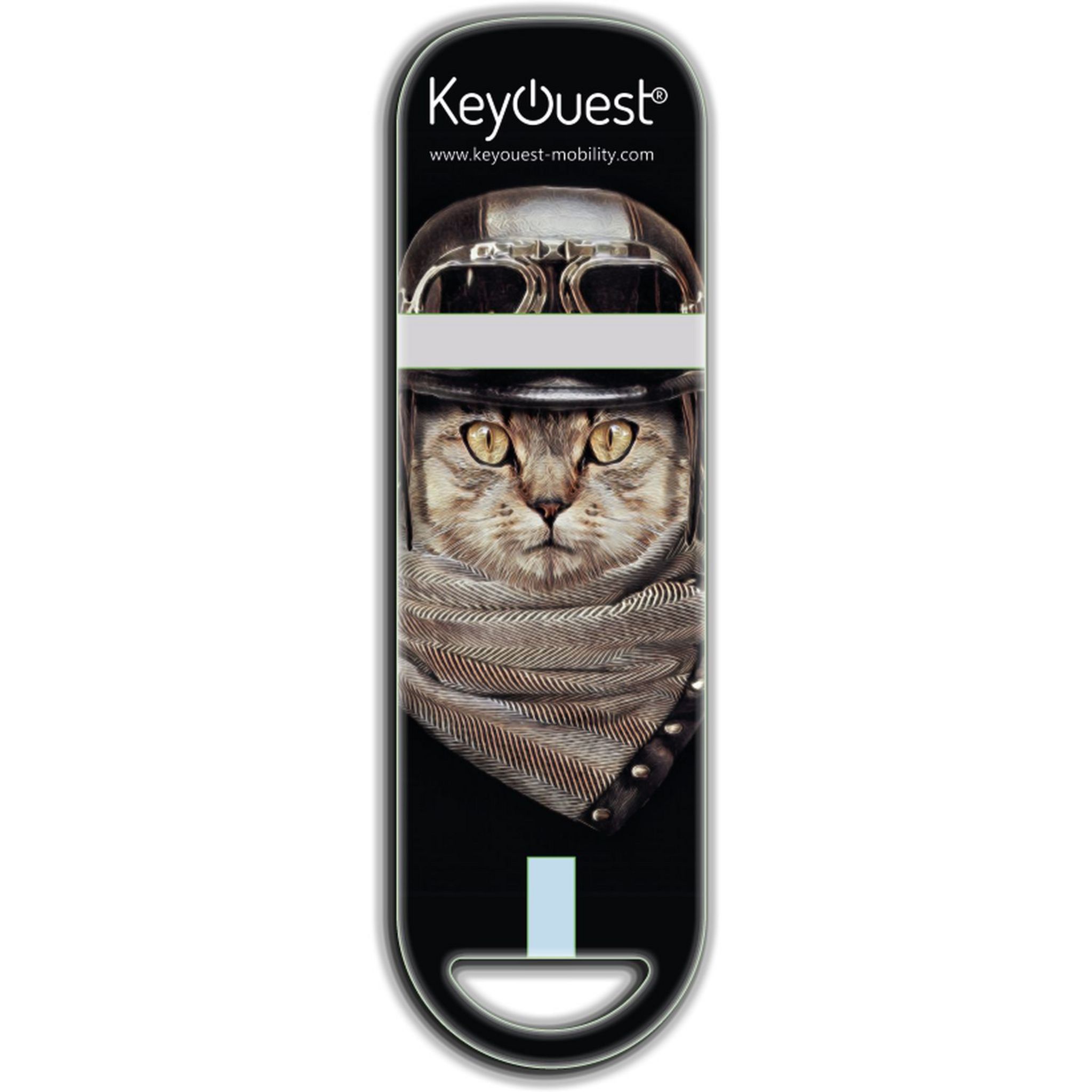 KEYOUEST Clé USB 2.0 16 Go Chat Side-Car Noir pas cher - Auchan.fr