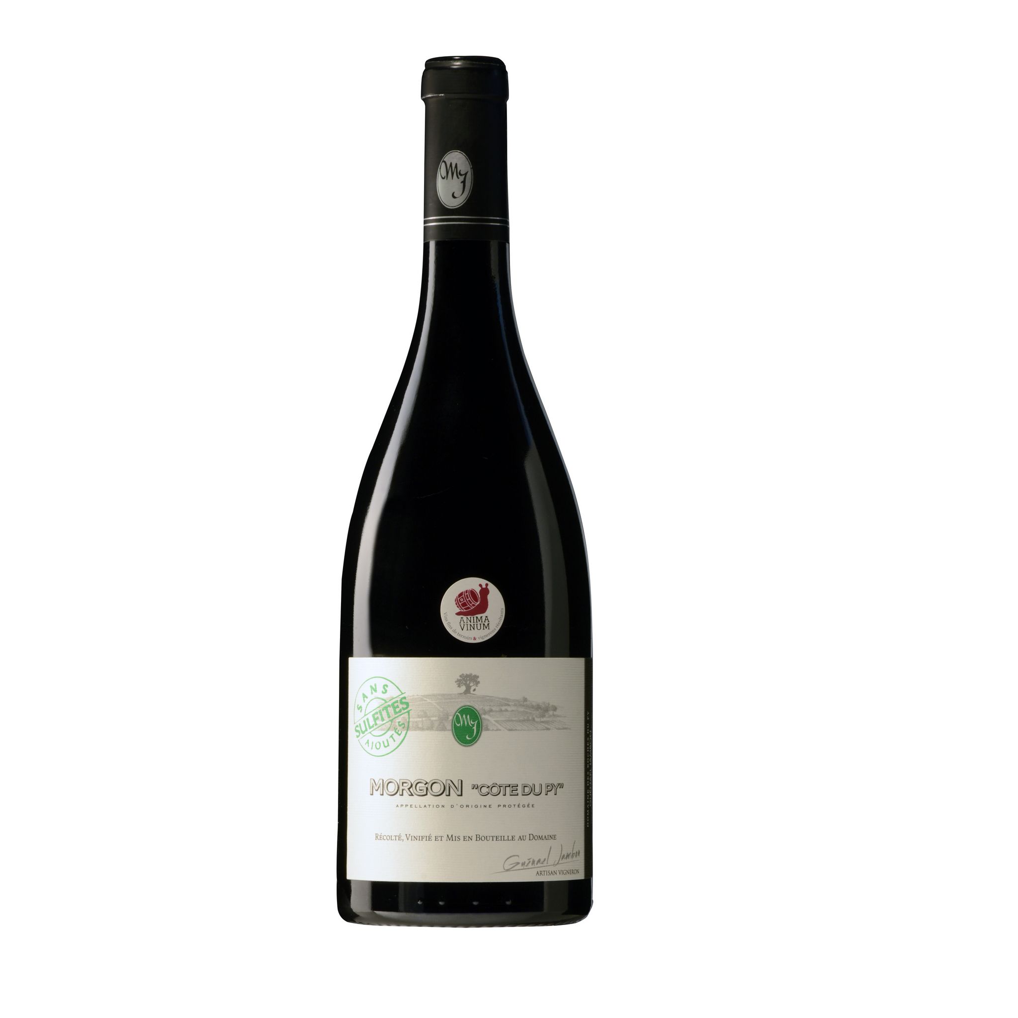 Vin rouge AOP Morgon "Cote du Py" 75cl pas cher - Auchan.fr