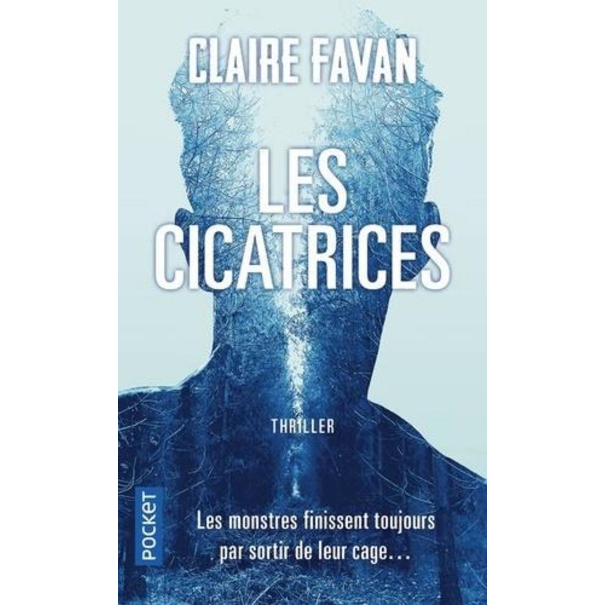 LES CICATRICES, Favan Claire pas cher - Auchan.fr