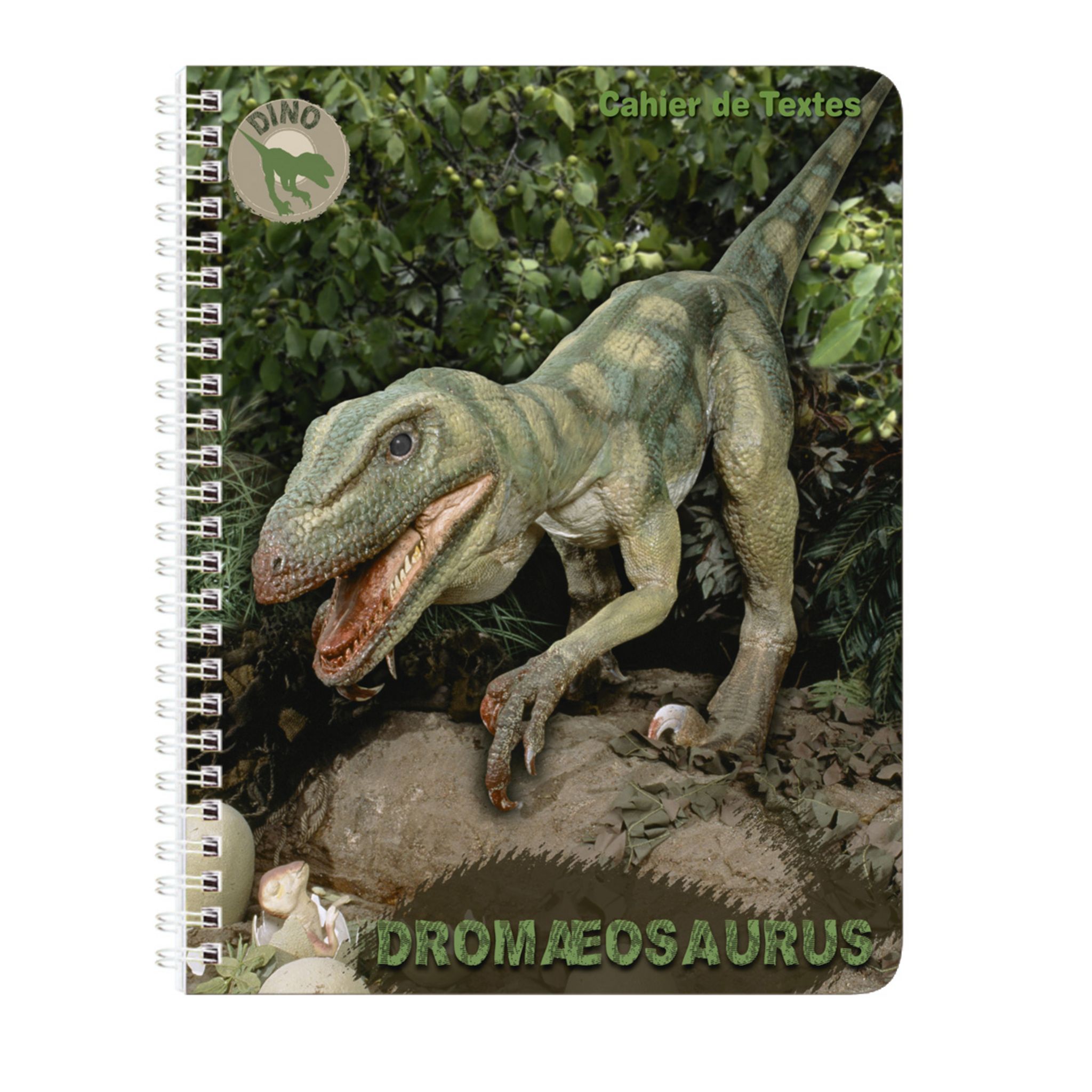 Cahier de texte Dinosaures 17x22cm - Dromaeosaurus pas cher - Auchan.fr