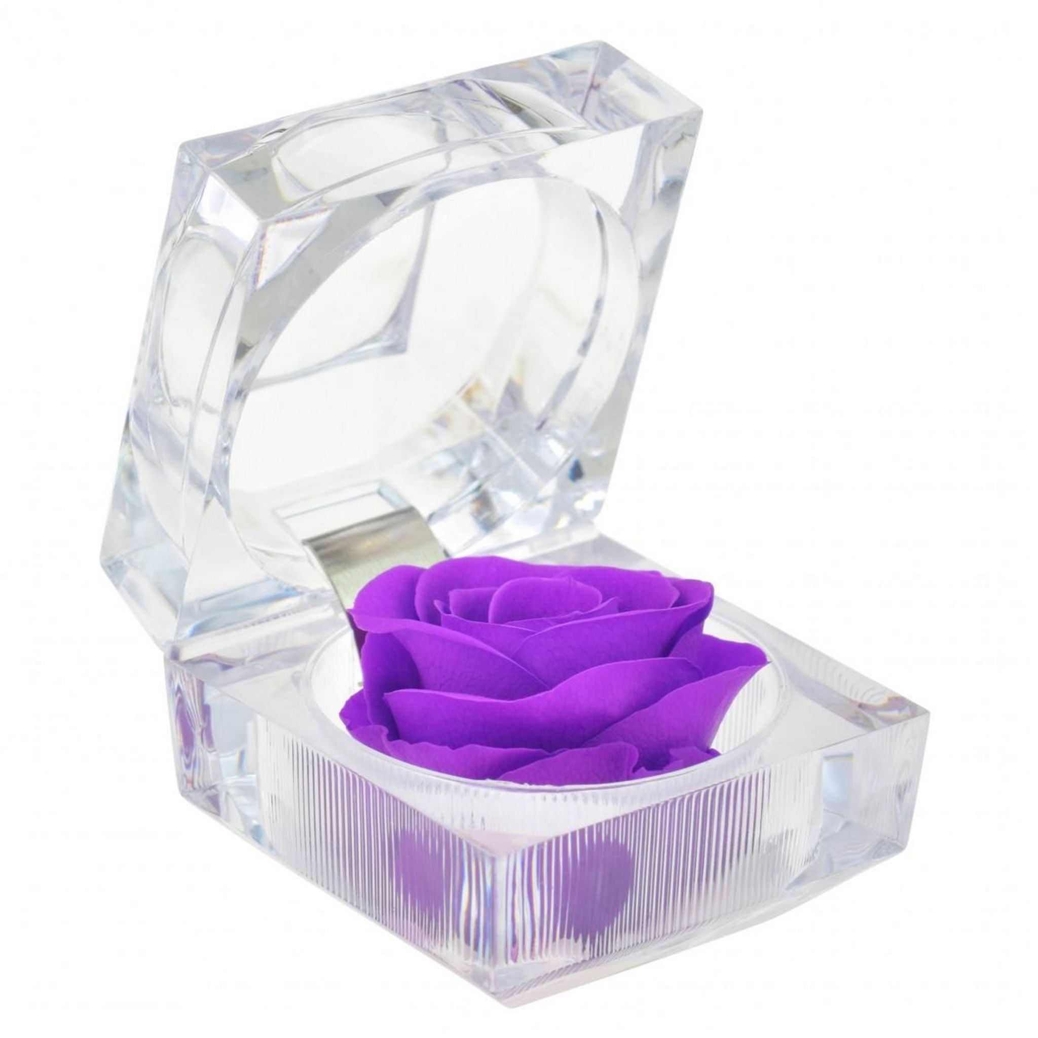 SC CRYSTAL Rose éternelle violette pas cher - Auchan.fr