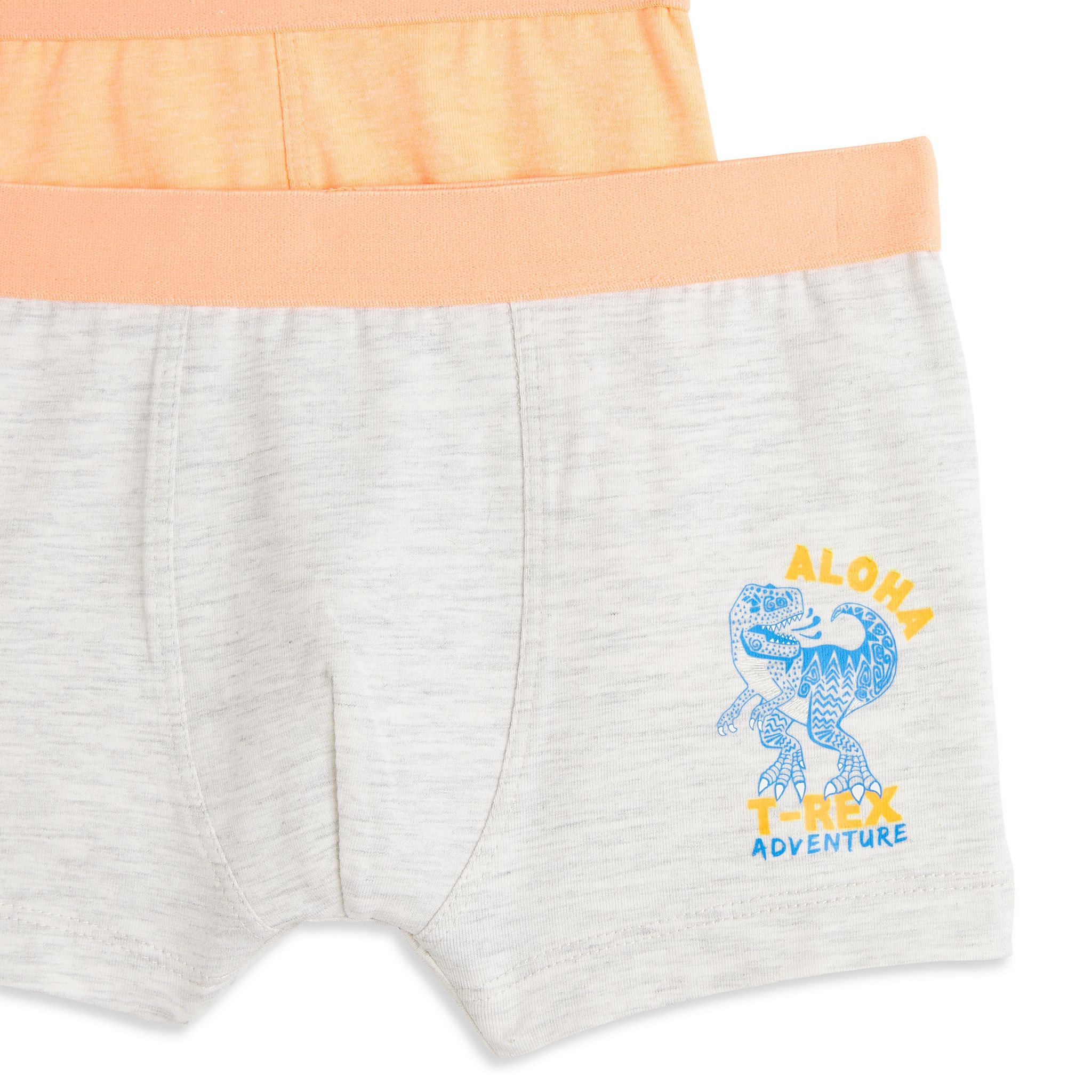 INEXTENSO Lot de 2 boxers garçon pas cher - Auchan.fr