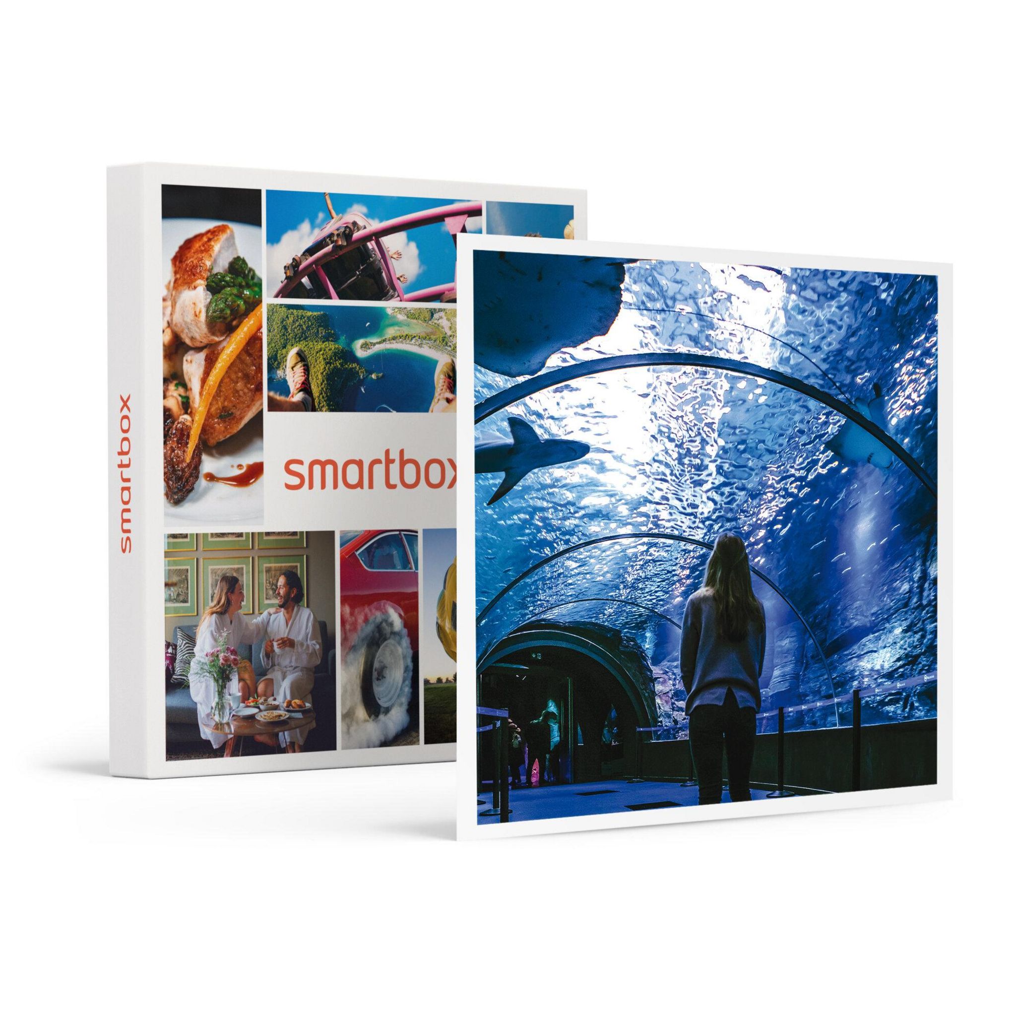 Smartbox À la découverte des secrets de l'océan : 1 entrée adulte coupe ...