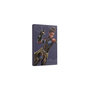 Seagate Seagate Shuri disque dur externe 2 To 3.2 Gen 1 (3.1 Gen 1 ...