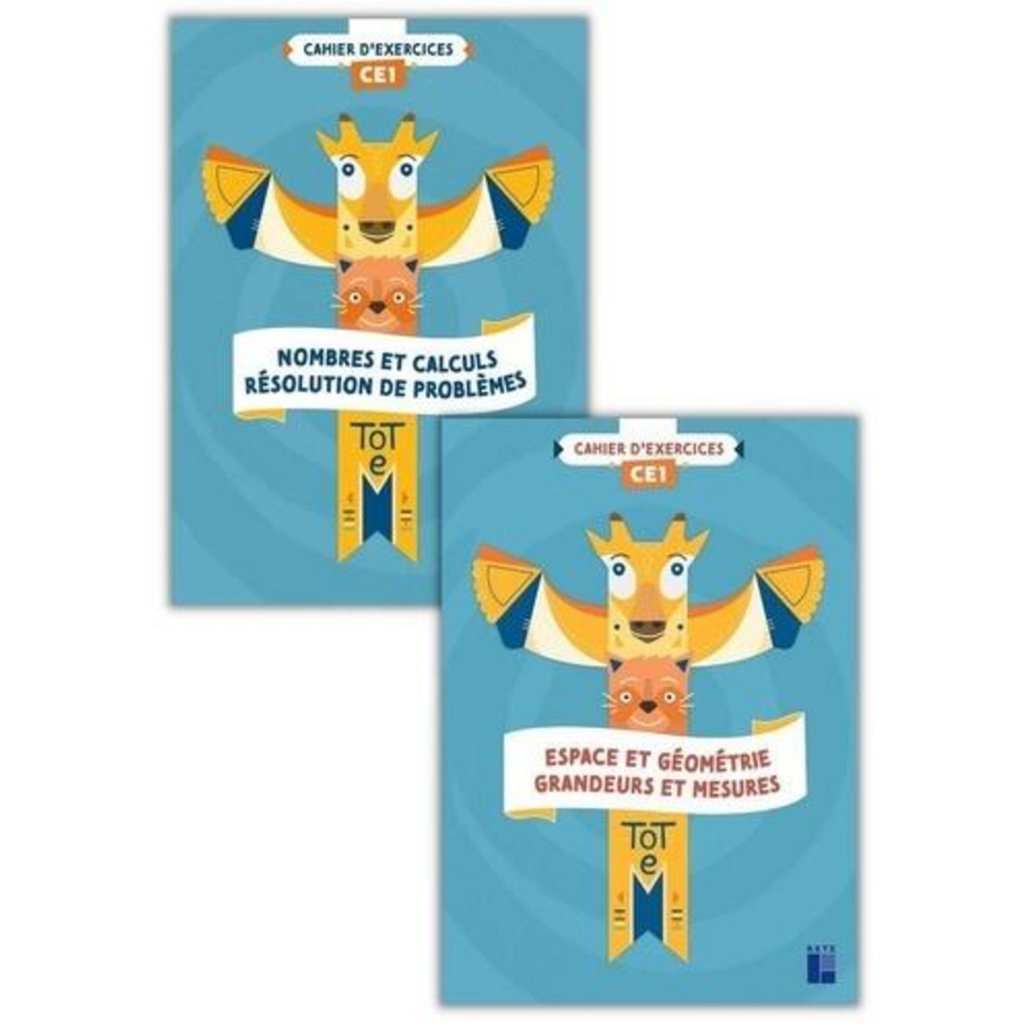 MATHEMATIQUES CE1 TOTEM. CAHIERS D'EXERCICES 2 VOLUMES : ESPACE ET ...