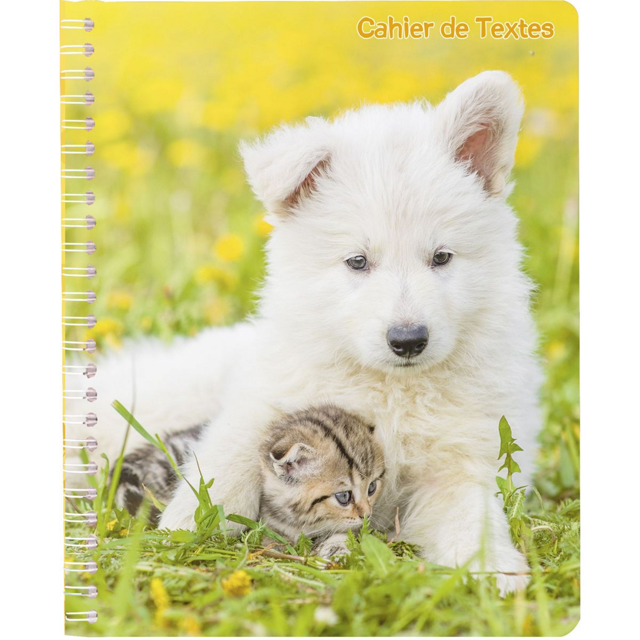 Cahier de texte 17,5x22cm 148 pages à spirale fille Animaux domestiques ...