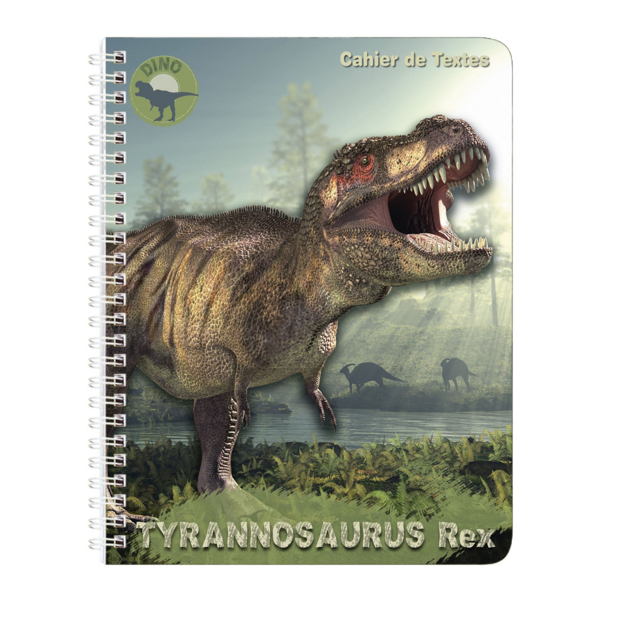 Cahier de texte Dinosaures 17x22cm - Tyrannosaurus pas cher - Auchan.fr