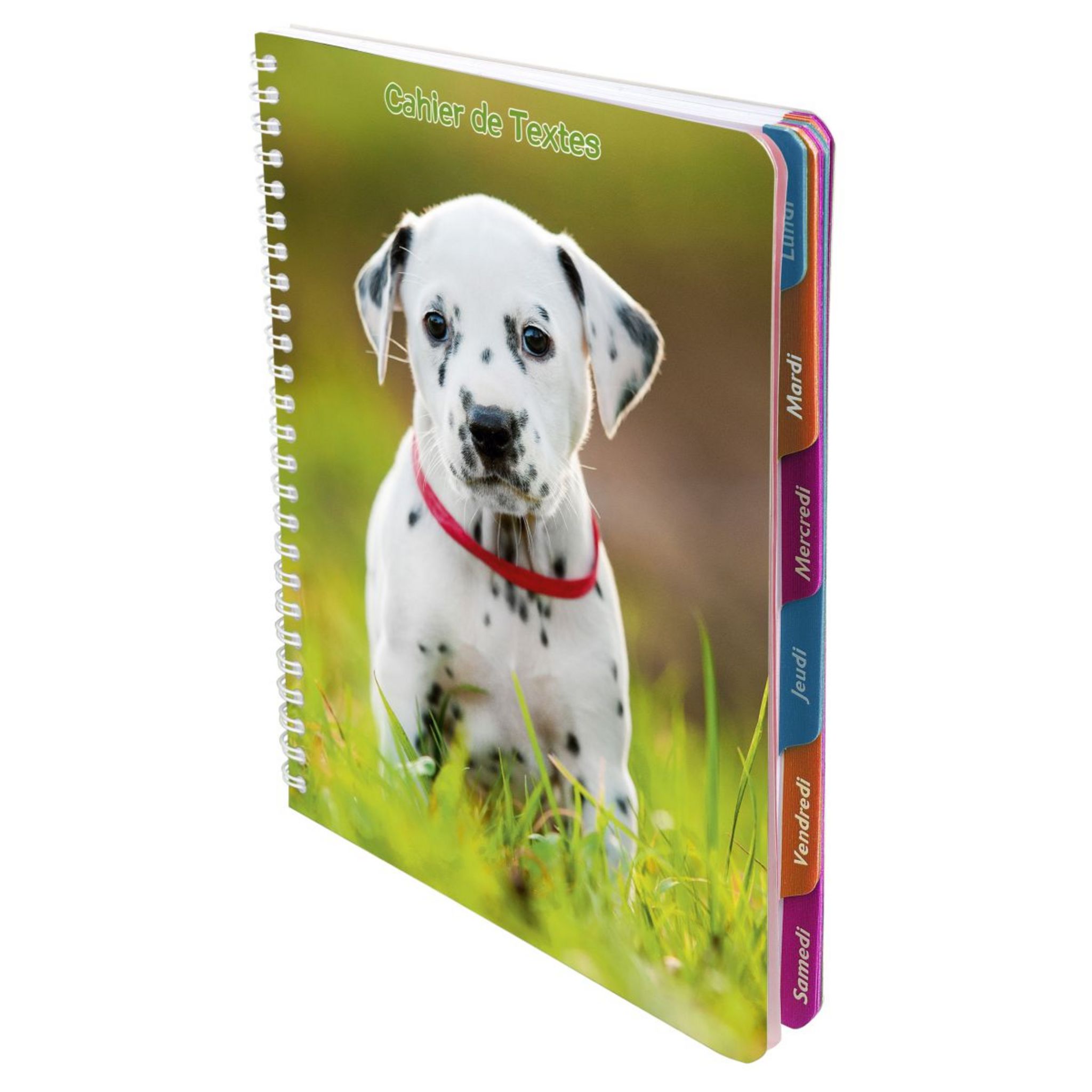 Cahier de texte à spirale Animaux domestiques chiot dalmatien collier ...